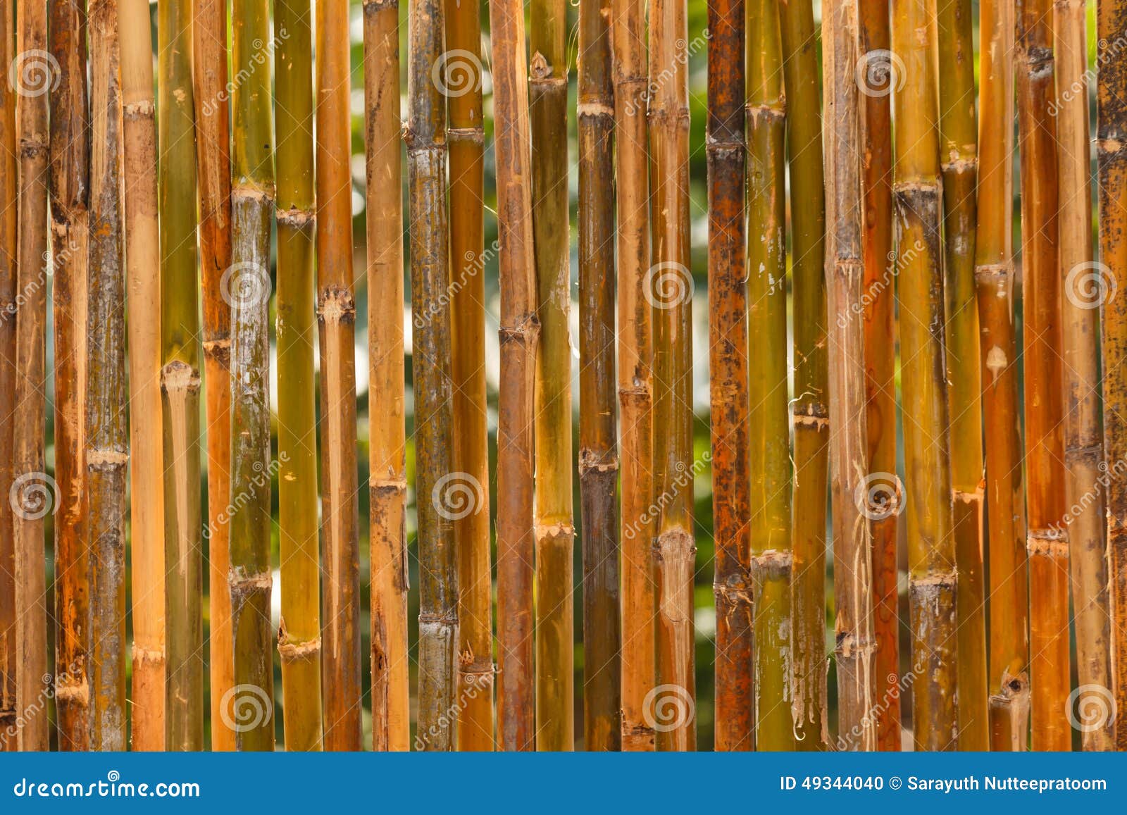 Bamboo fence texture stock photo. Image of fence, stripes - 49344040