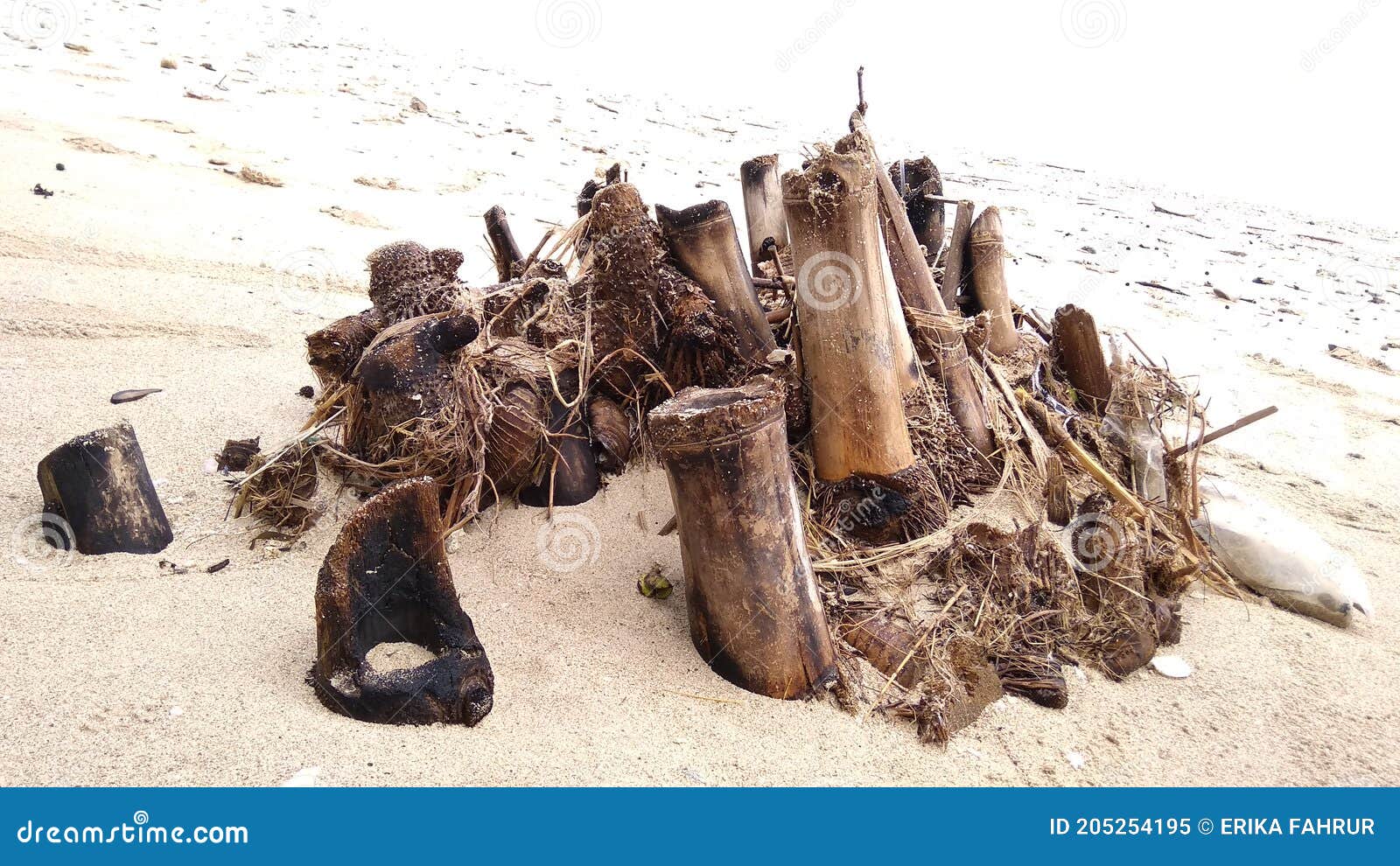 Bamboo Fire Marks on the Beach Stock Image - Image of dish, sculpture ...