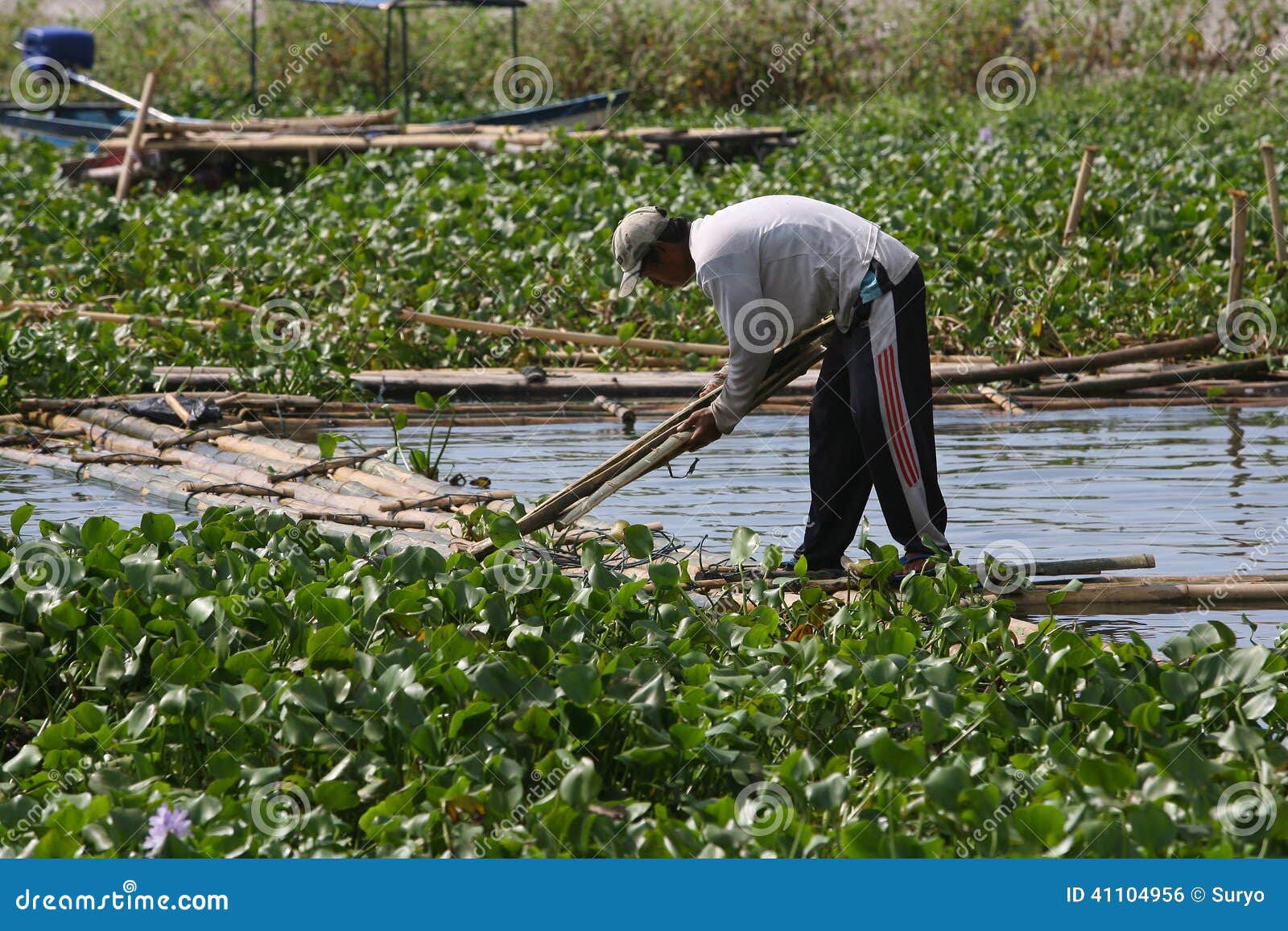 Bamboo fish cage editorial photo. Image of java, indonesia - 41104956