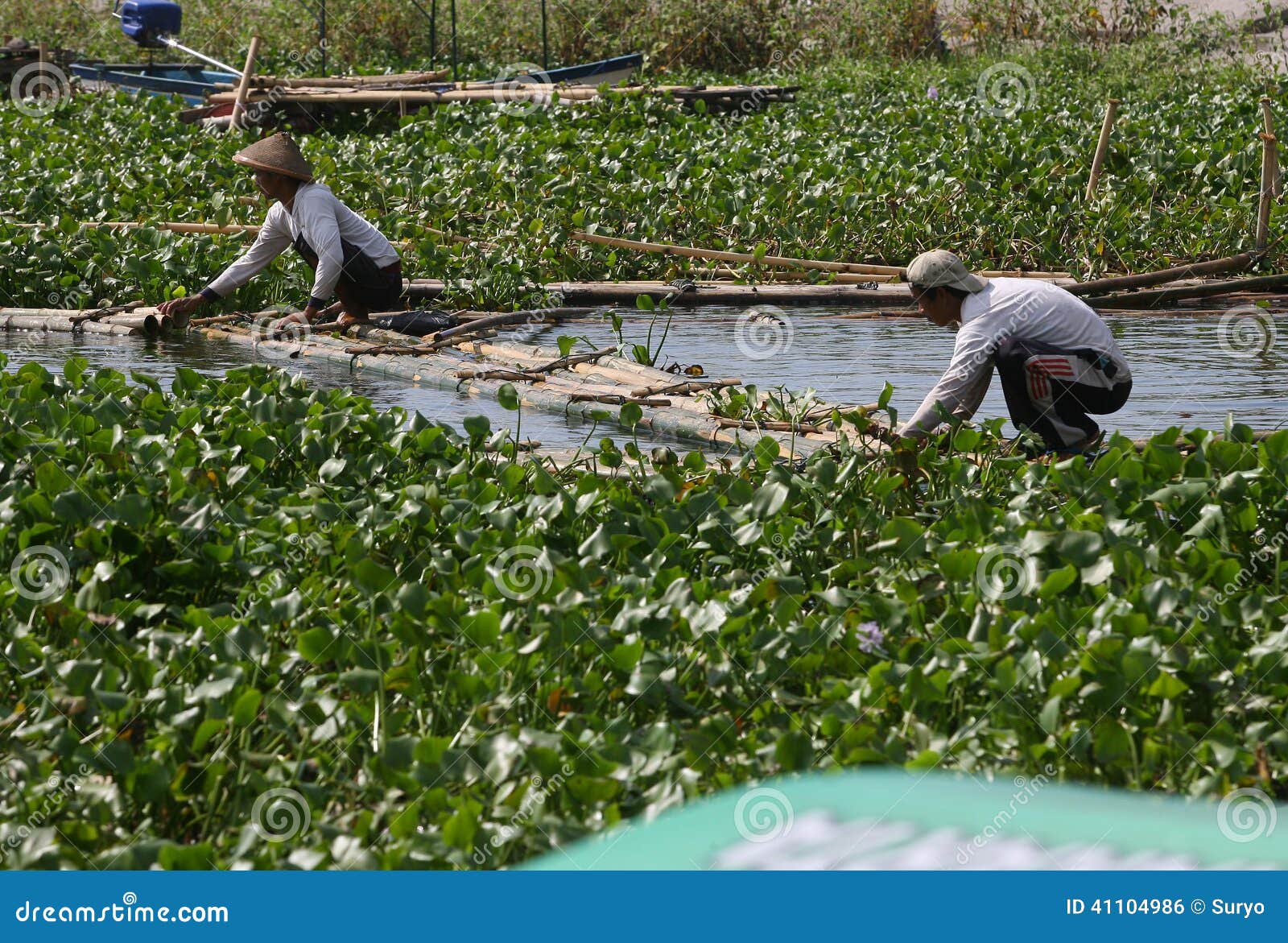 Bamboo fish cage editorial photo. Image of indonesia - 41104986