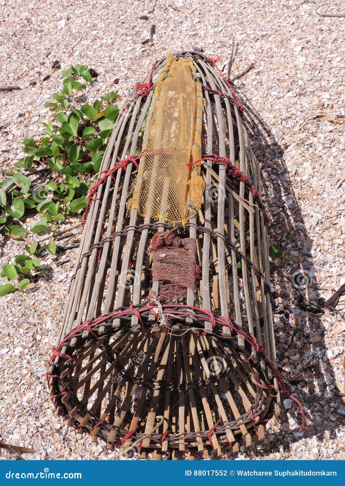 Bamboo fish trap. stock photo. Image of fish, fabricate - 88017552