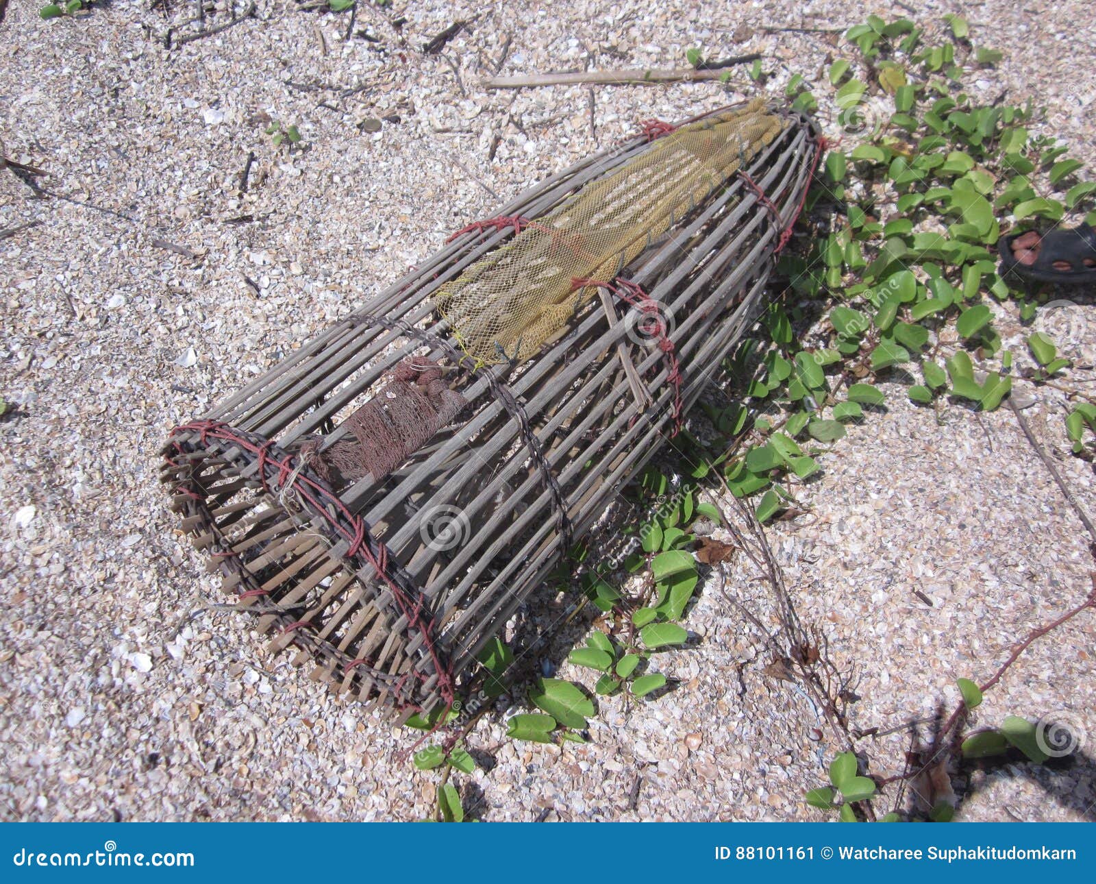 Bamboo fish trap. stock image. Image of bundle, grate - 88101161