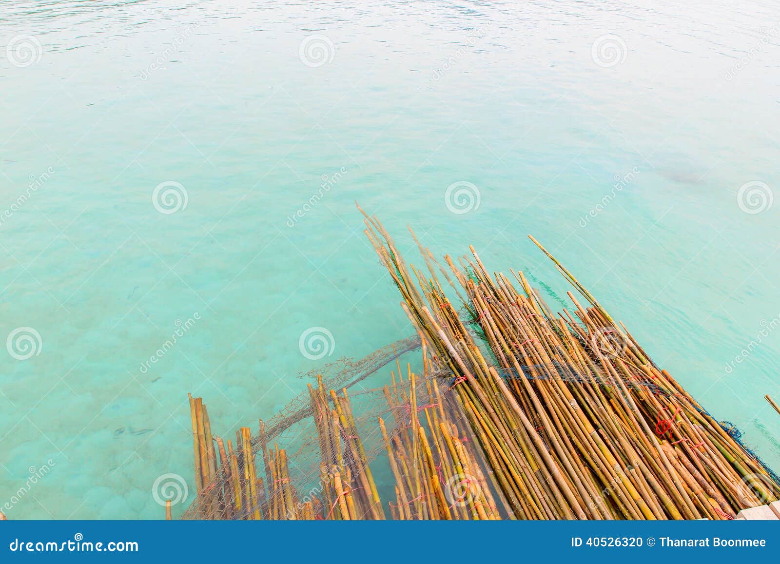 Bamboo Floating Raft In High Mountain Lake Panorama View Stock ...