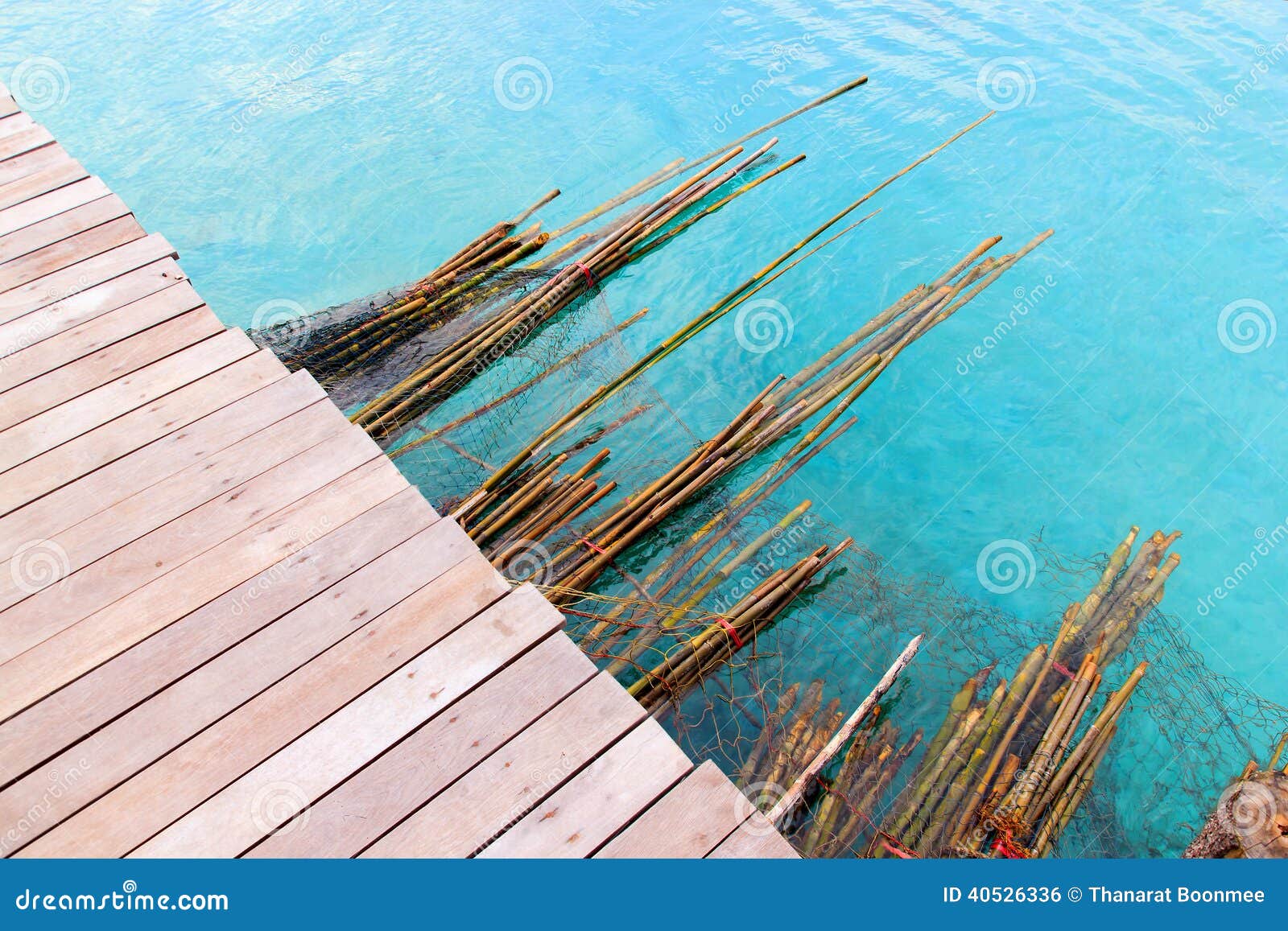 Bamboo Floating Raft In High Mountain Lake Panorama View Stock ...