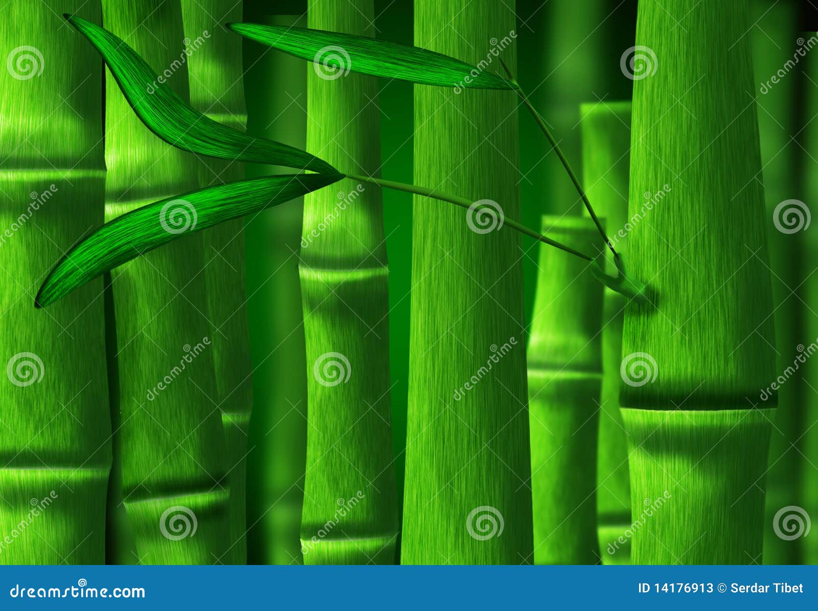 Bamboo forest stock illustration. Illustration of texture - 14176913