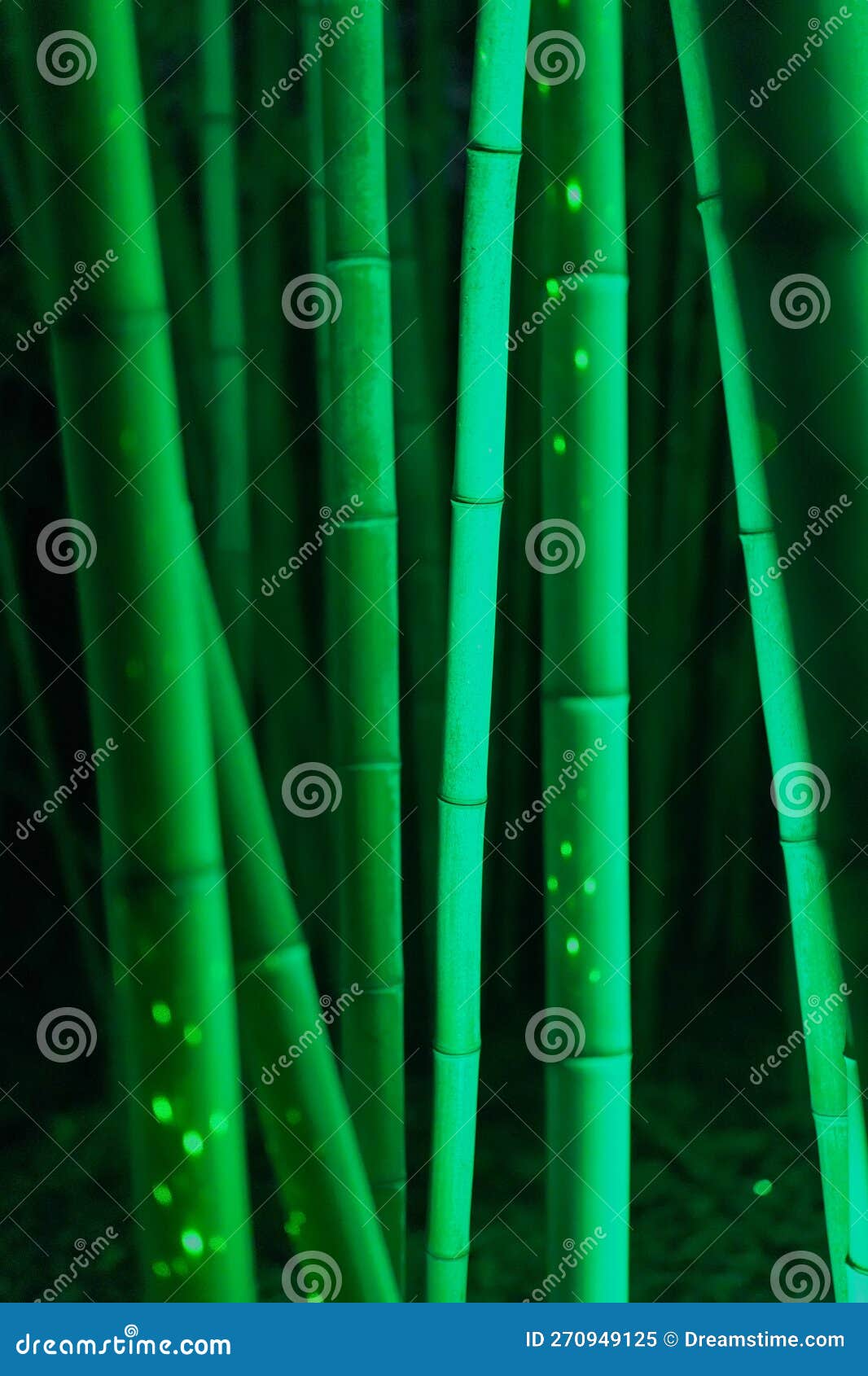 Bamboo Forest Green Nature Vertical Stock Image - Image of leaf, wood ...