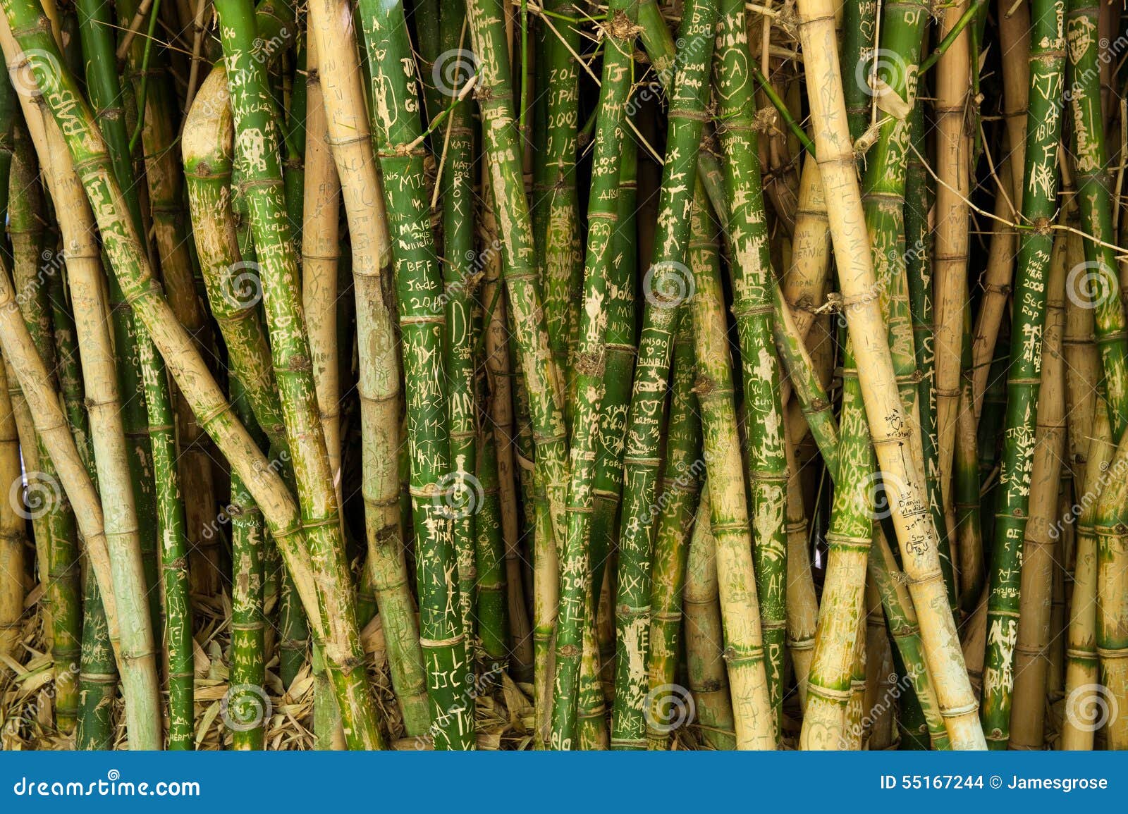 Bamboo Forest Notice Board Stock Photos - Free & Royalty-Free Stock ...