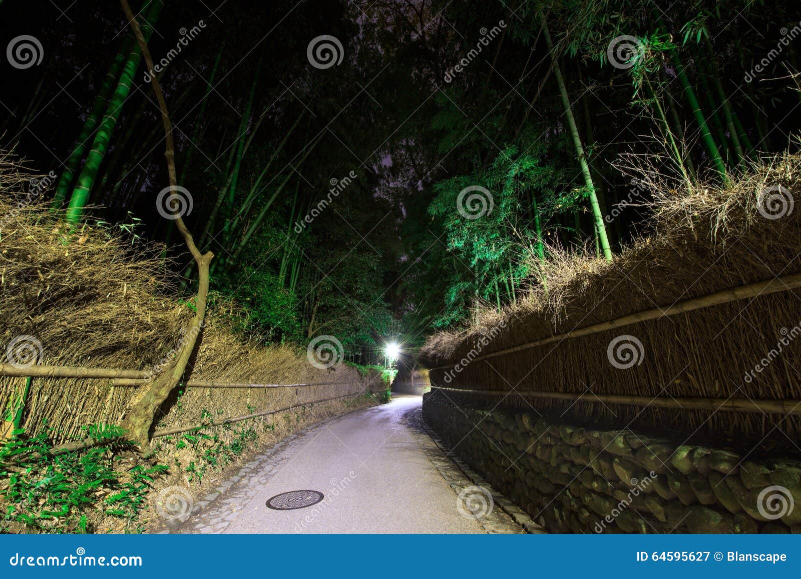 Bamboo Forest Path at Night in Kyoto Stock Image - Image of chikulin ...