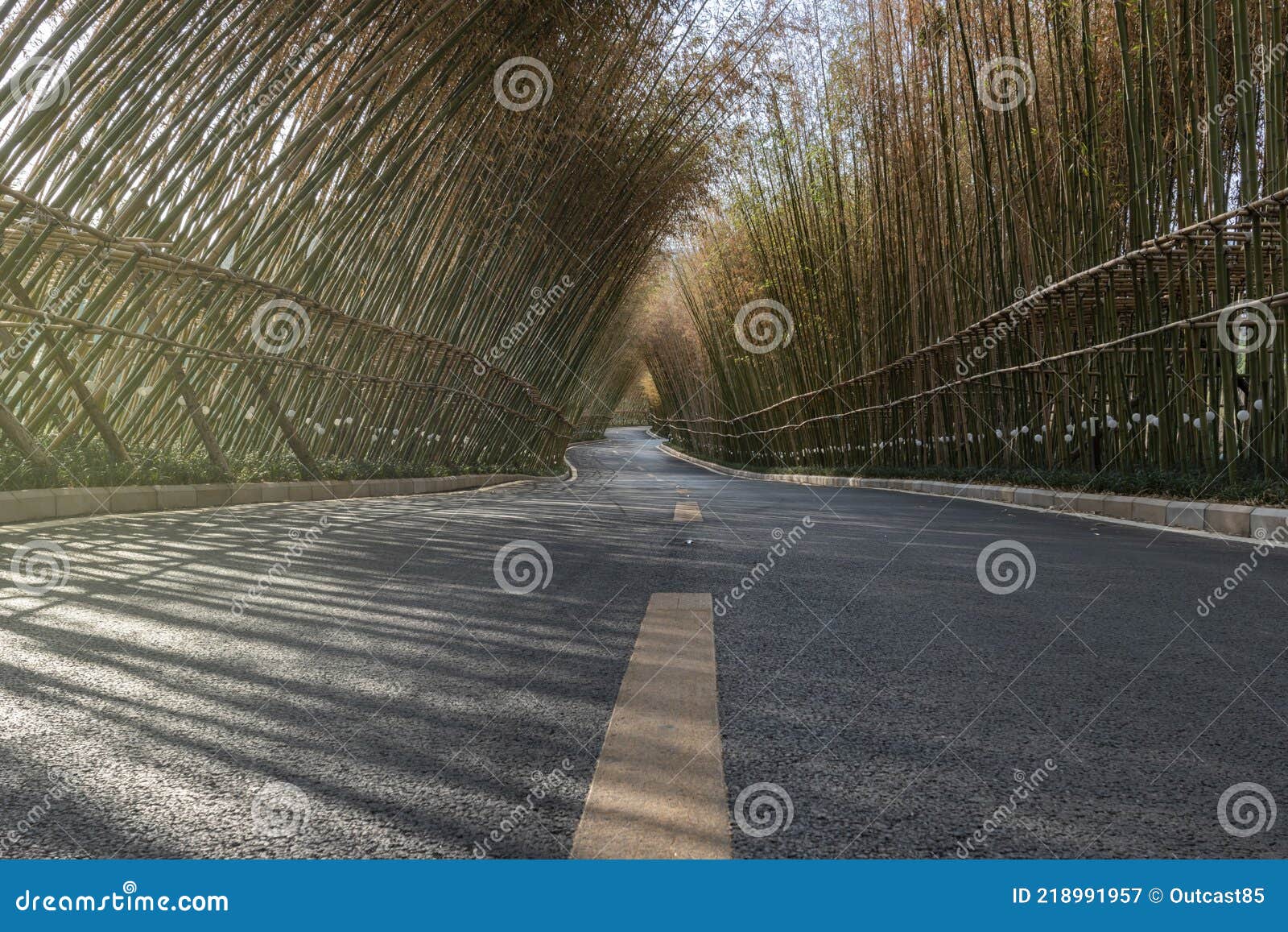 Bamboo Forest at Sunset in China Stock Image - Image of forest, grove ...