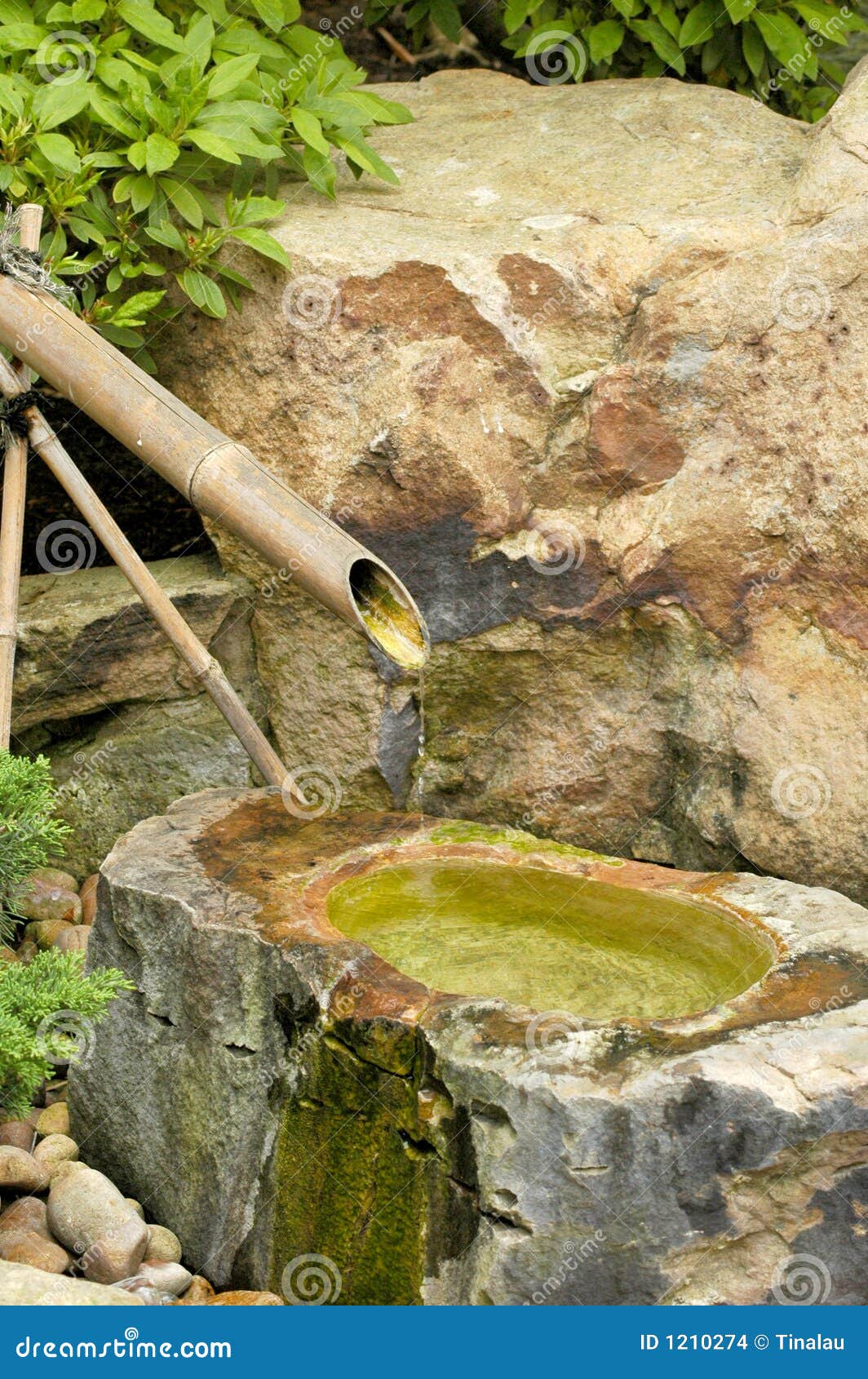 Bamboo fountain stock photo. Image of fungshui, relax - 1210274