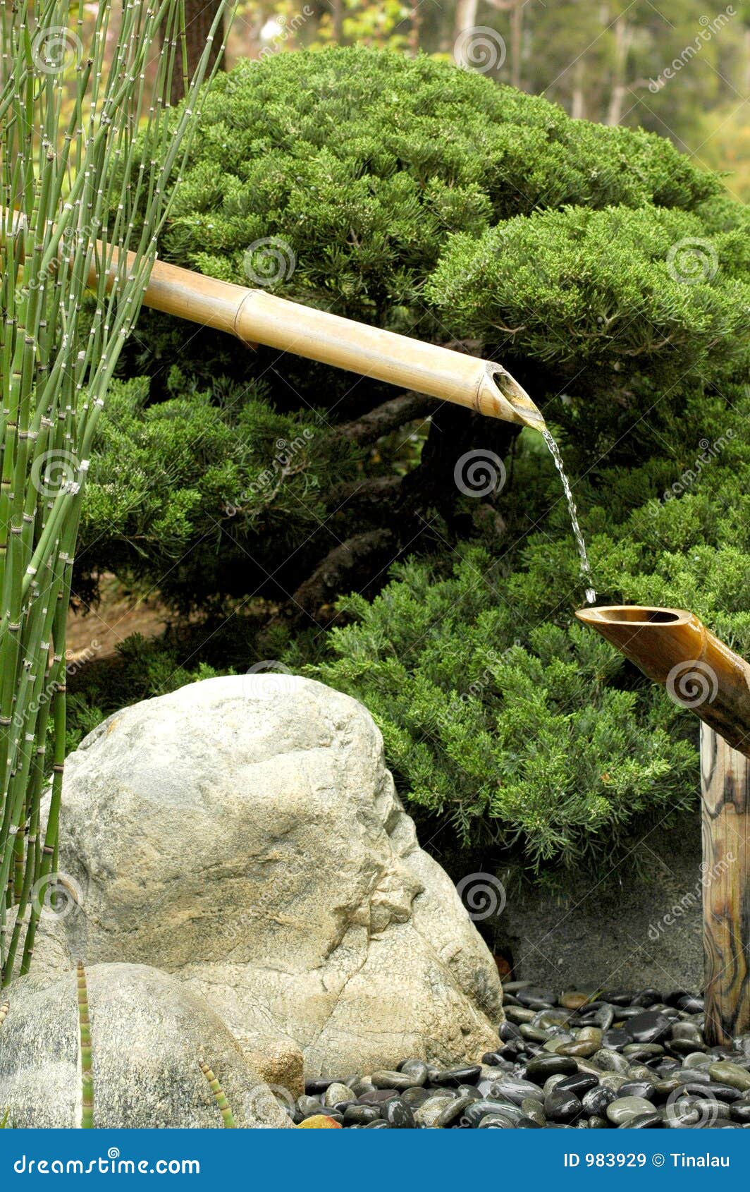 Bamboo fountain stock image. Image of bonsai, relax, water - 983929
