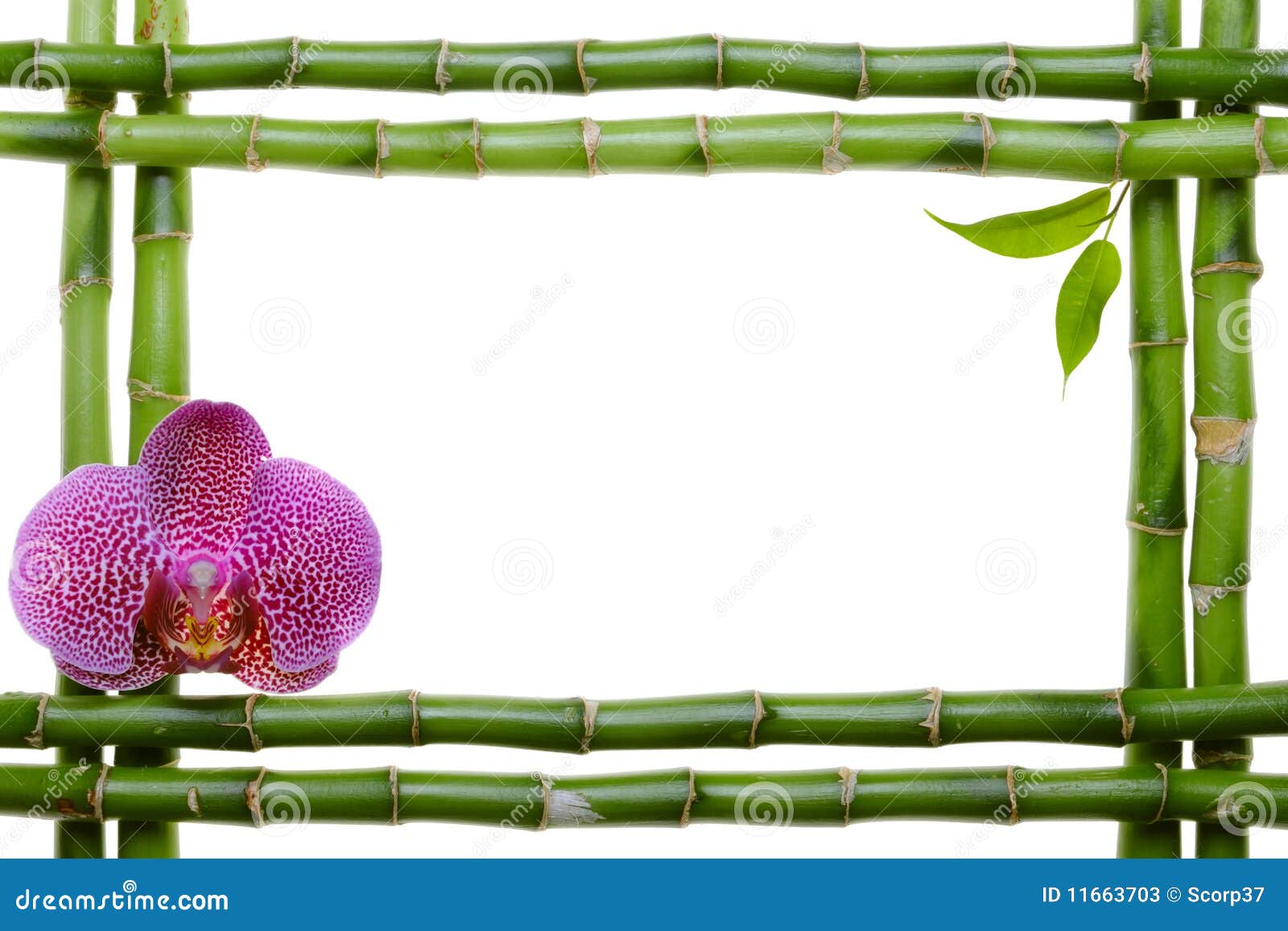 Bamboo Frame Weave Texture On White Background, Royalty-Free Stock ...