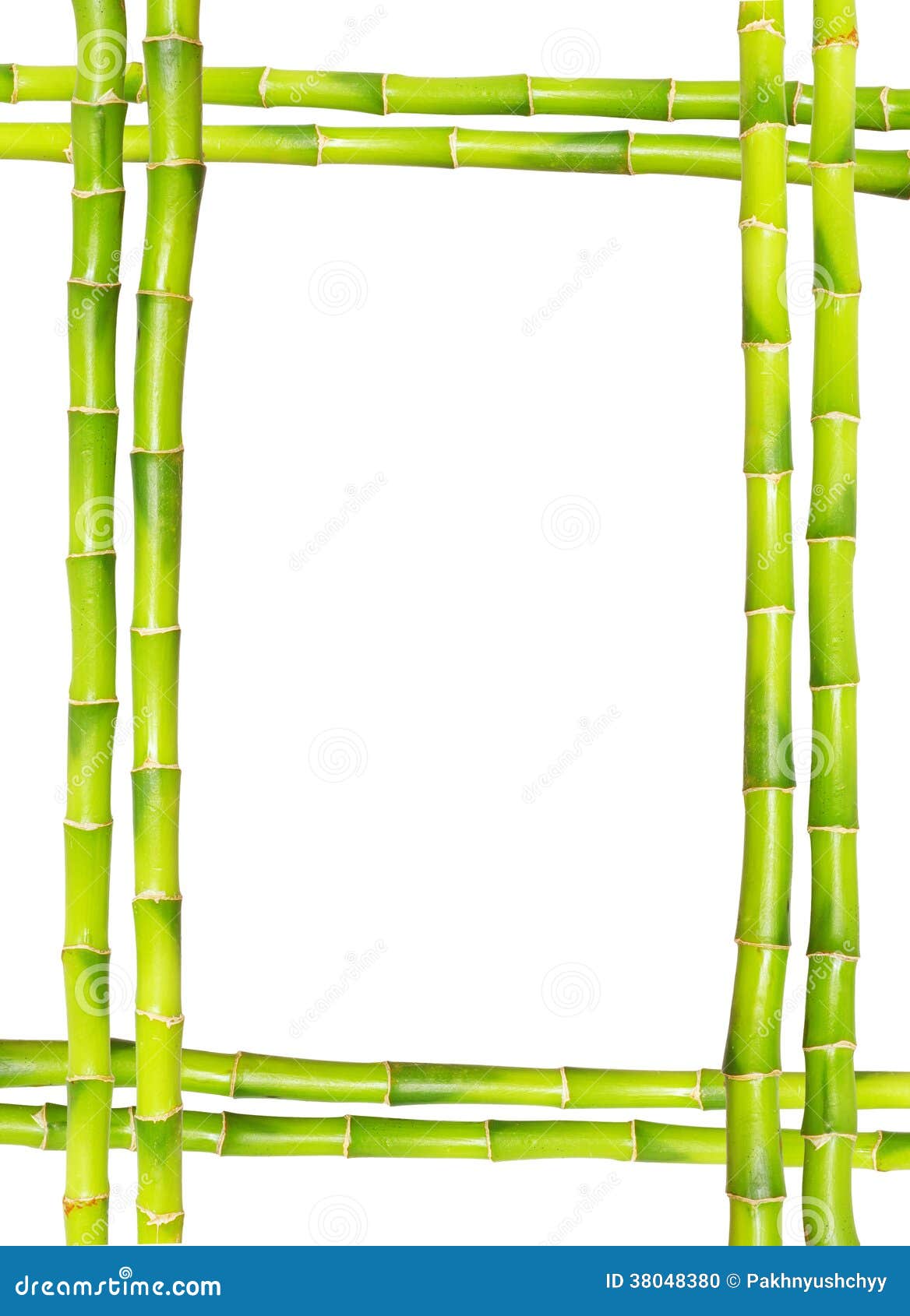 Bamboo frame stock photo. Image of spring, green, stem - 38048380