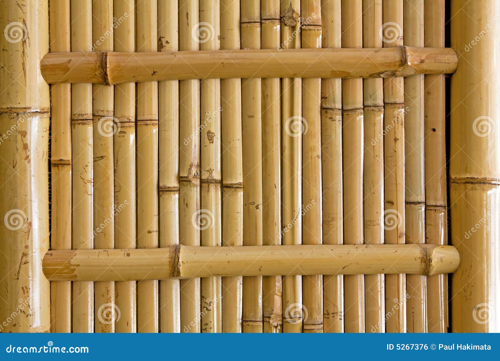 Bamboo frame stock photo. Image of organic, tree, rustic - 5267376