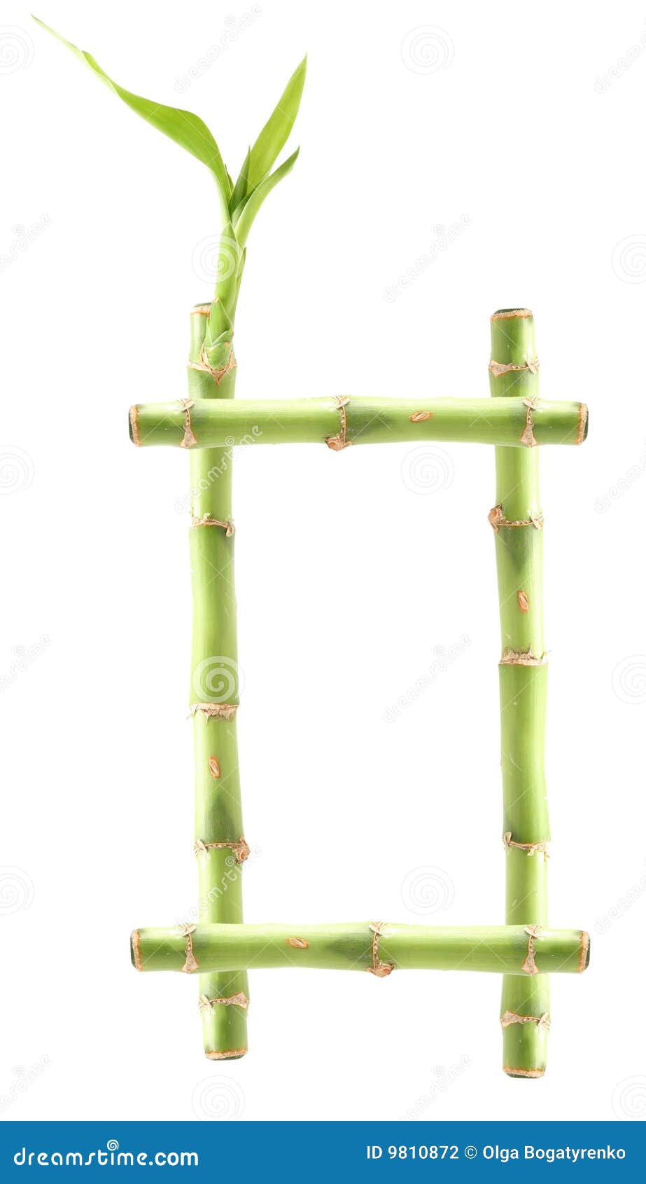 Bamboo Frame stock photo. Image of frame, leaves, design - 9810872