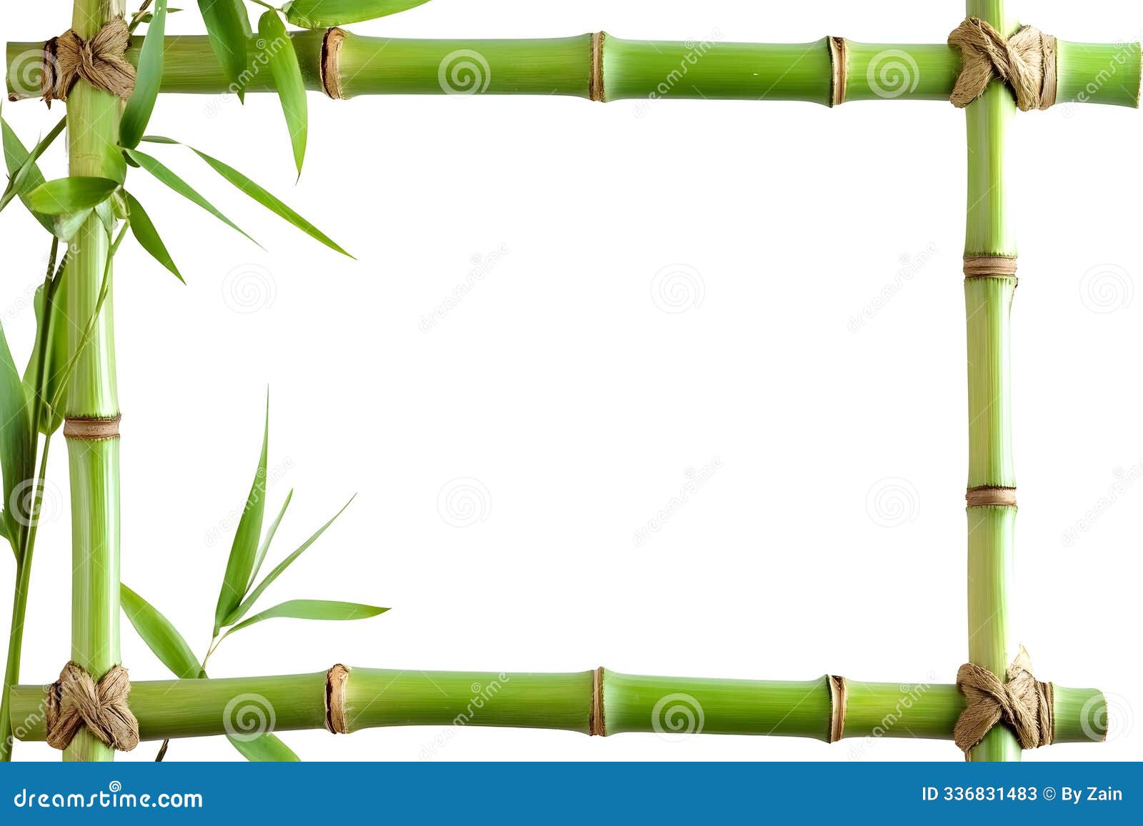 Bamboo Frame with Green Leaves, Natural Bamboo Border Isolated White ...