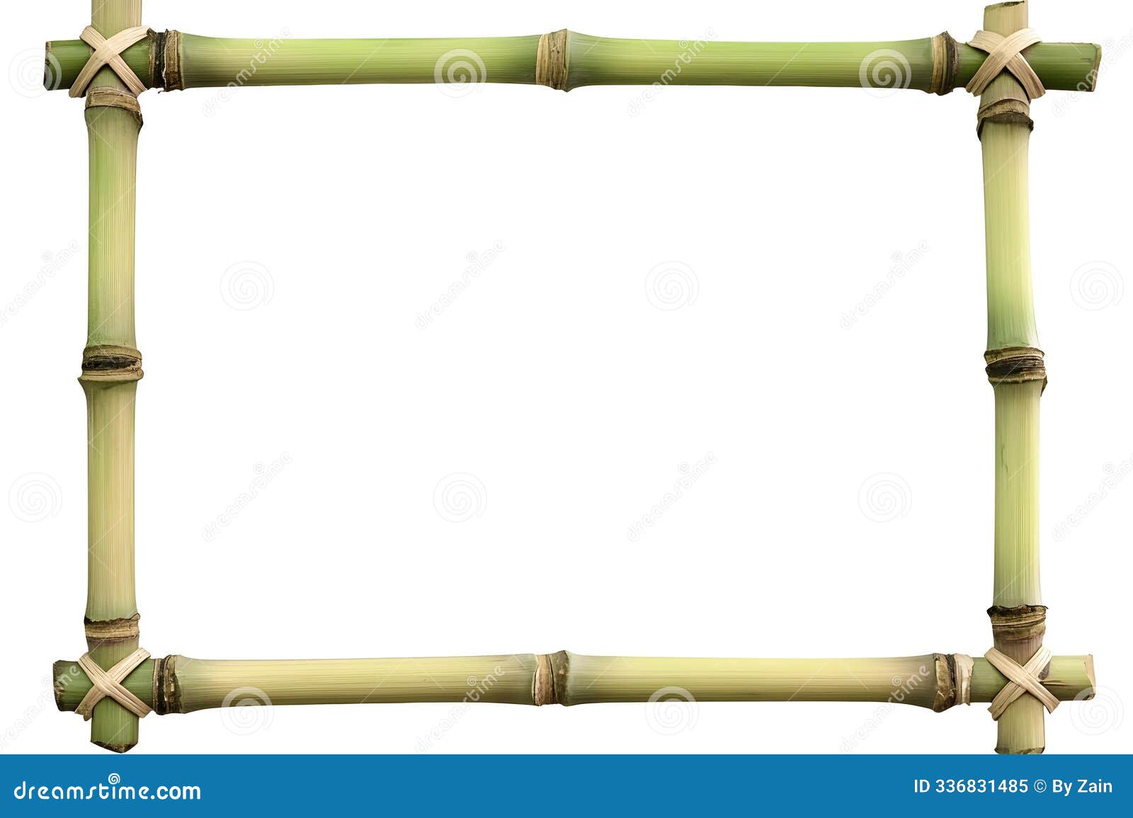 Bamboo Frame with Green Leaves, Natural Bamboo Border Isolated White ...