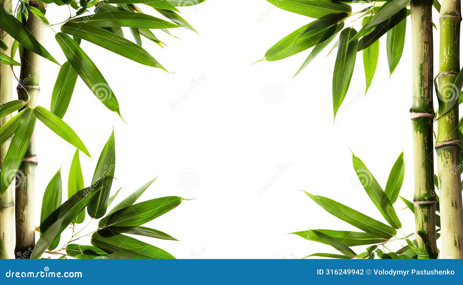 A Bamboo Frame with Green Leaves on a White Background Stock Photo ...