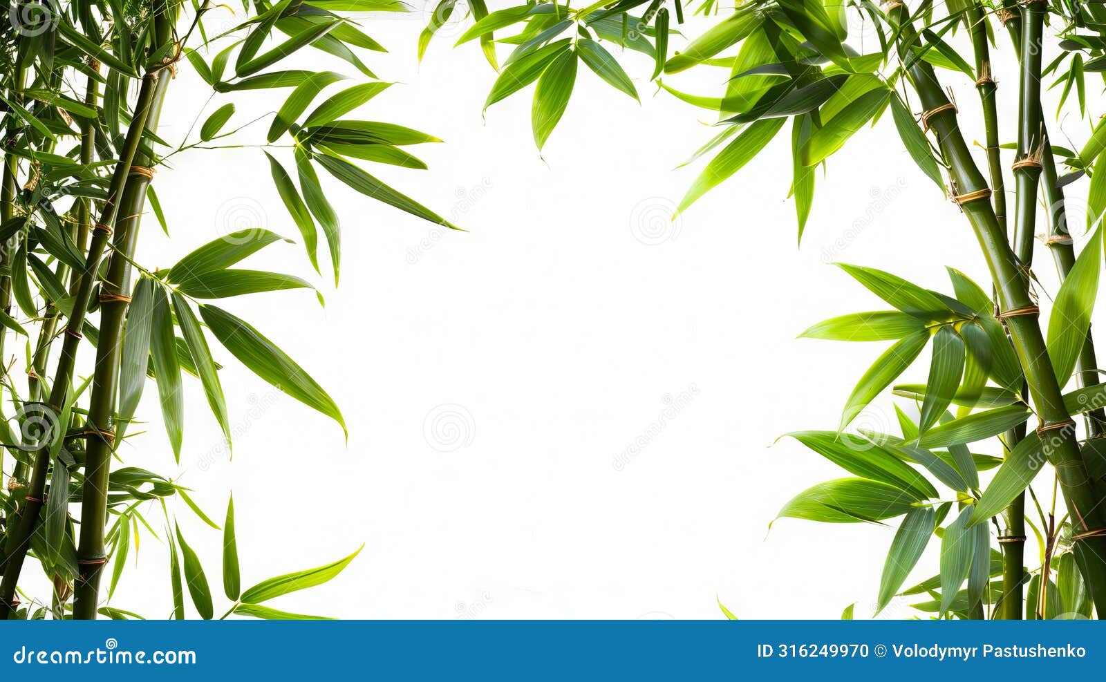 A Bamboo Frame with Green Leaves on a White Background Stock Photo ...