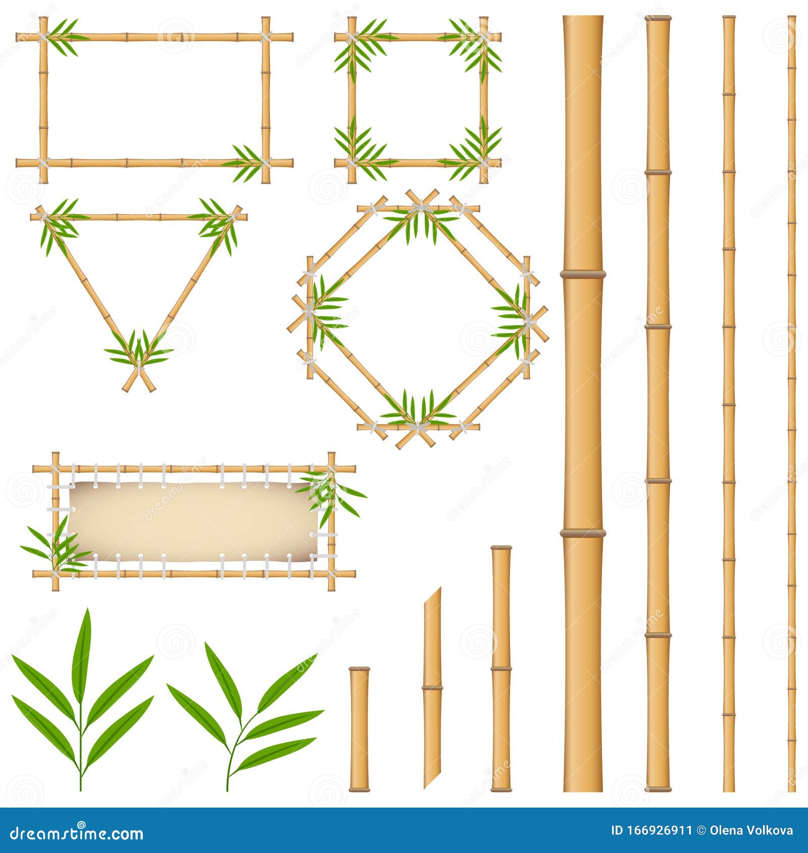 Bamboo Frames Made Of Green Bamboo. Pieces And Leaves Of Bamboo ...