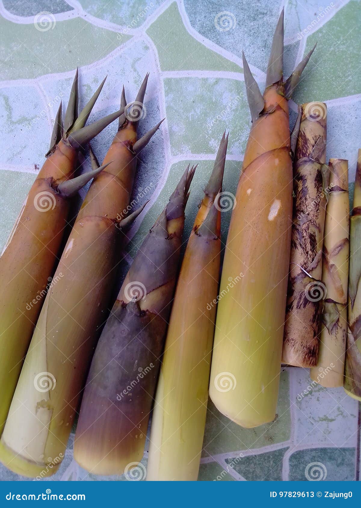 Bamboo , fresh stock image. Image of food, cooking, bamboo - 97829613