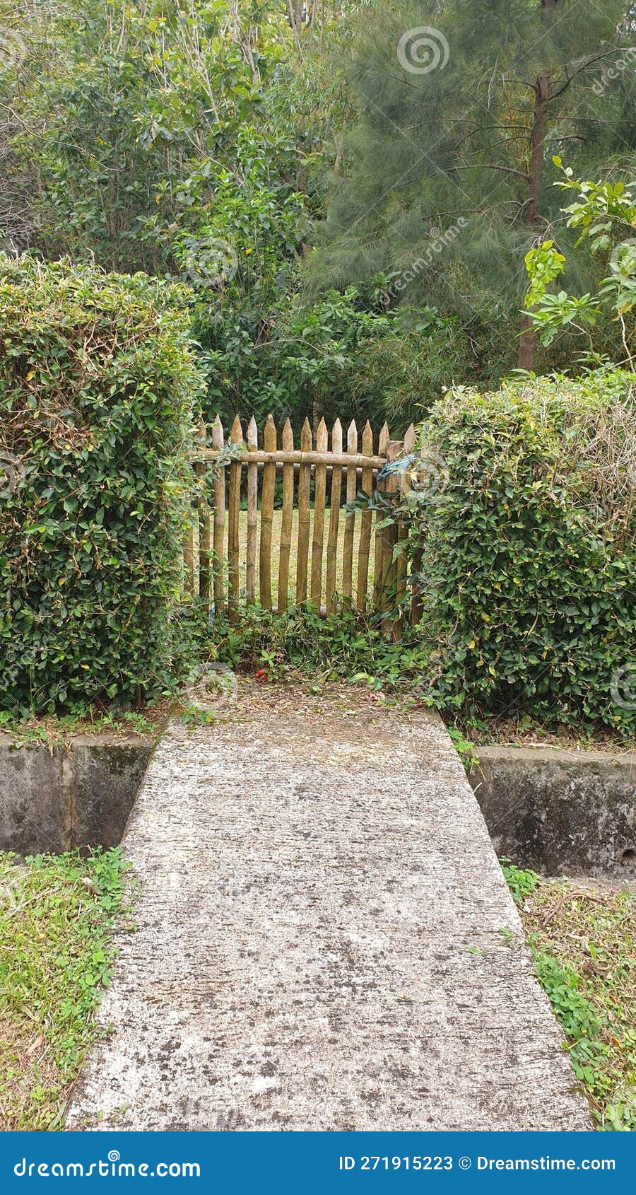Bamboo gate country side stock image. Image of woodland - 271915223