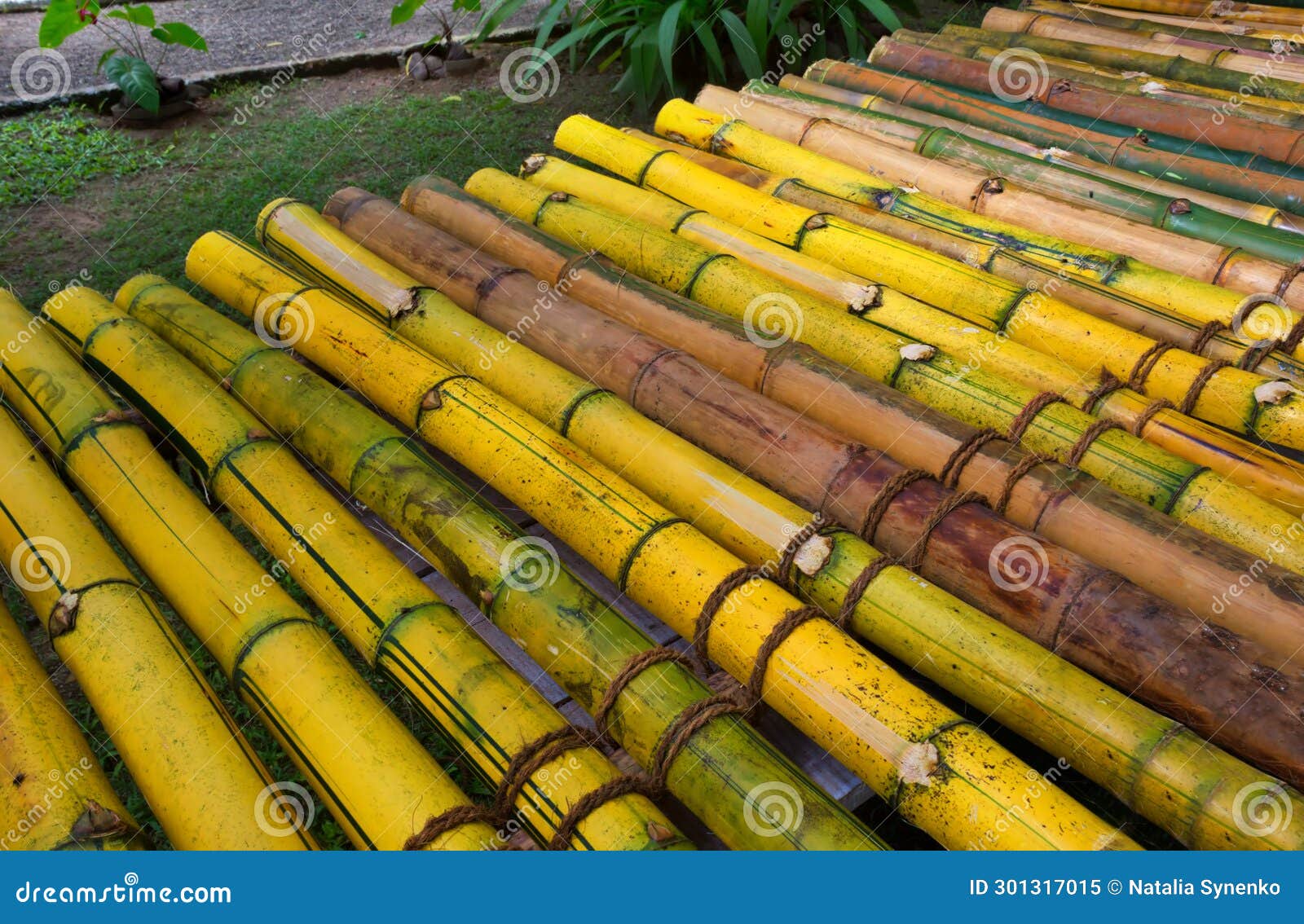 Bamboo Green Raft. Green Bamboo Texture Stock Image - Image of rope ...