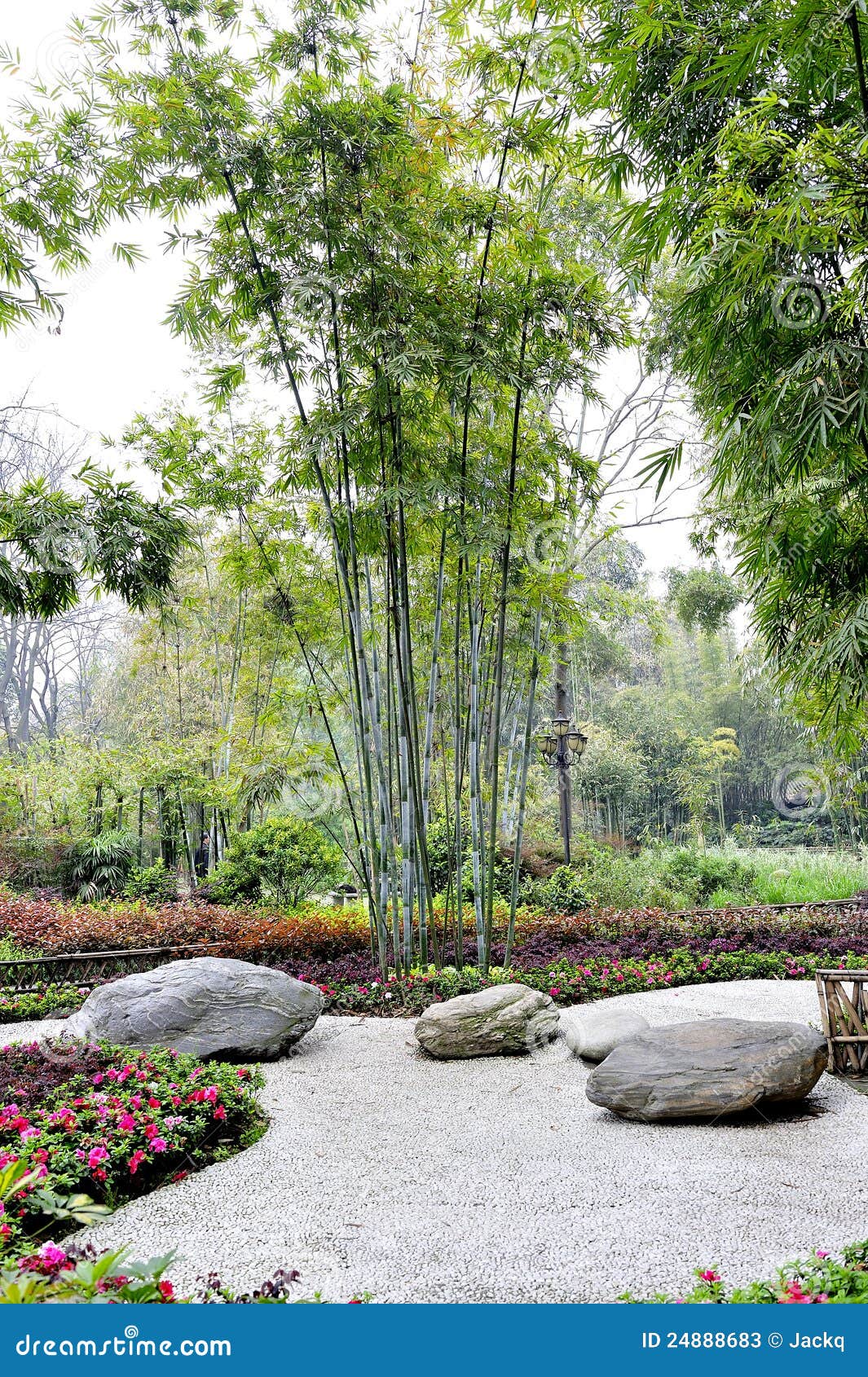 The Bamboo Groves and Courtyard Stock Image - Image of serenity, lush ...