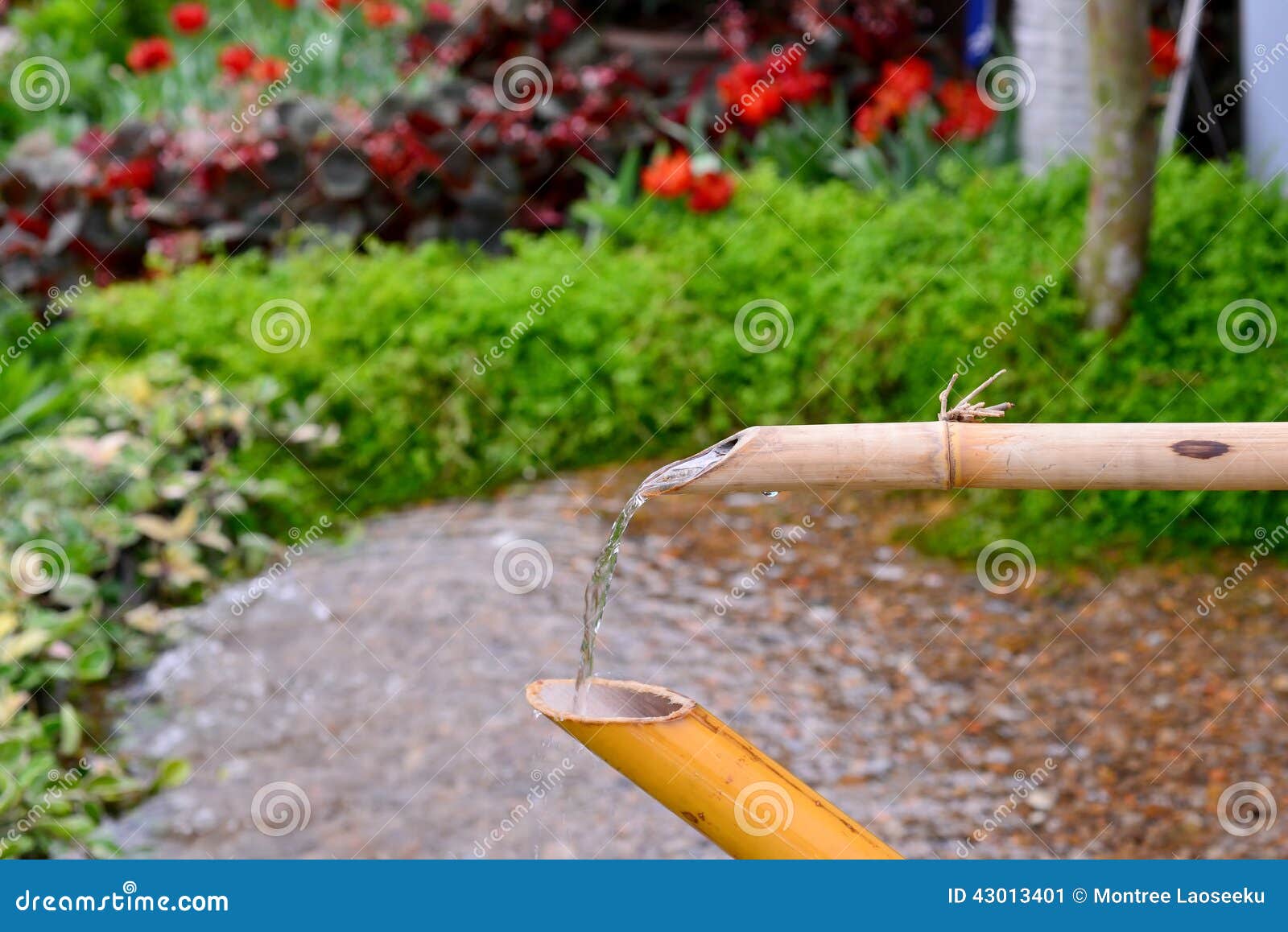 Bamboo gutter stock image. Image of bush, stone, bowl - 43013401