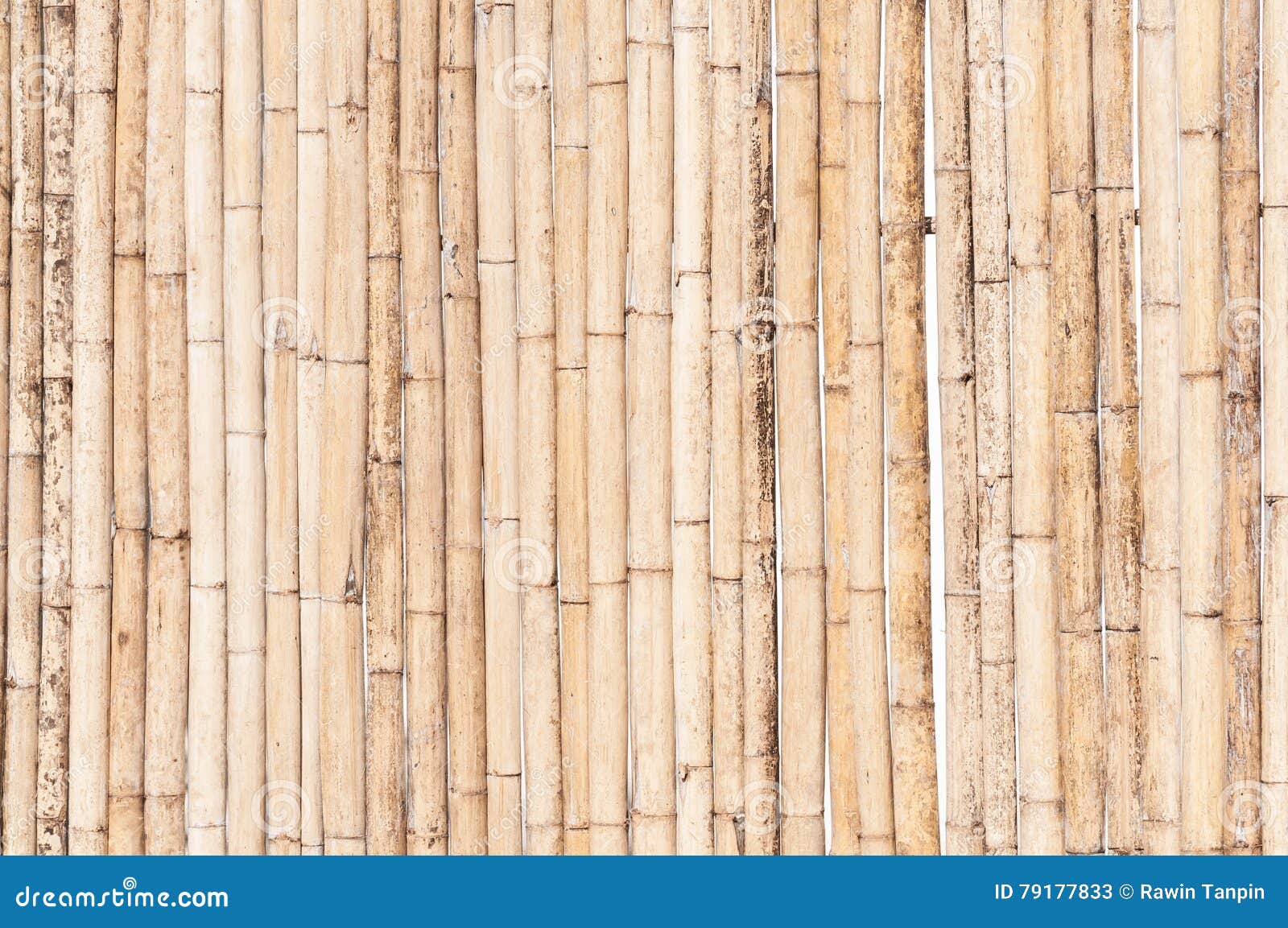 Bamboo Cut Half Weave Wall Texture Or Background Royalty-Free Stock ...