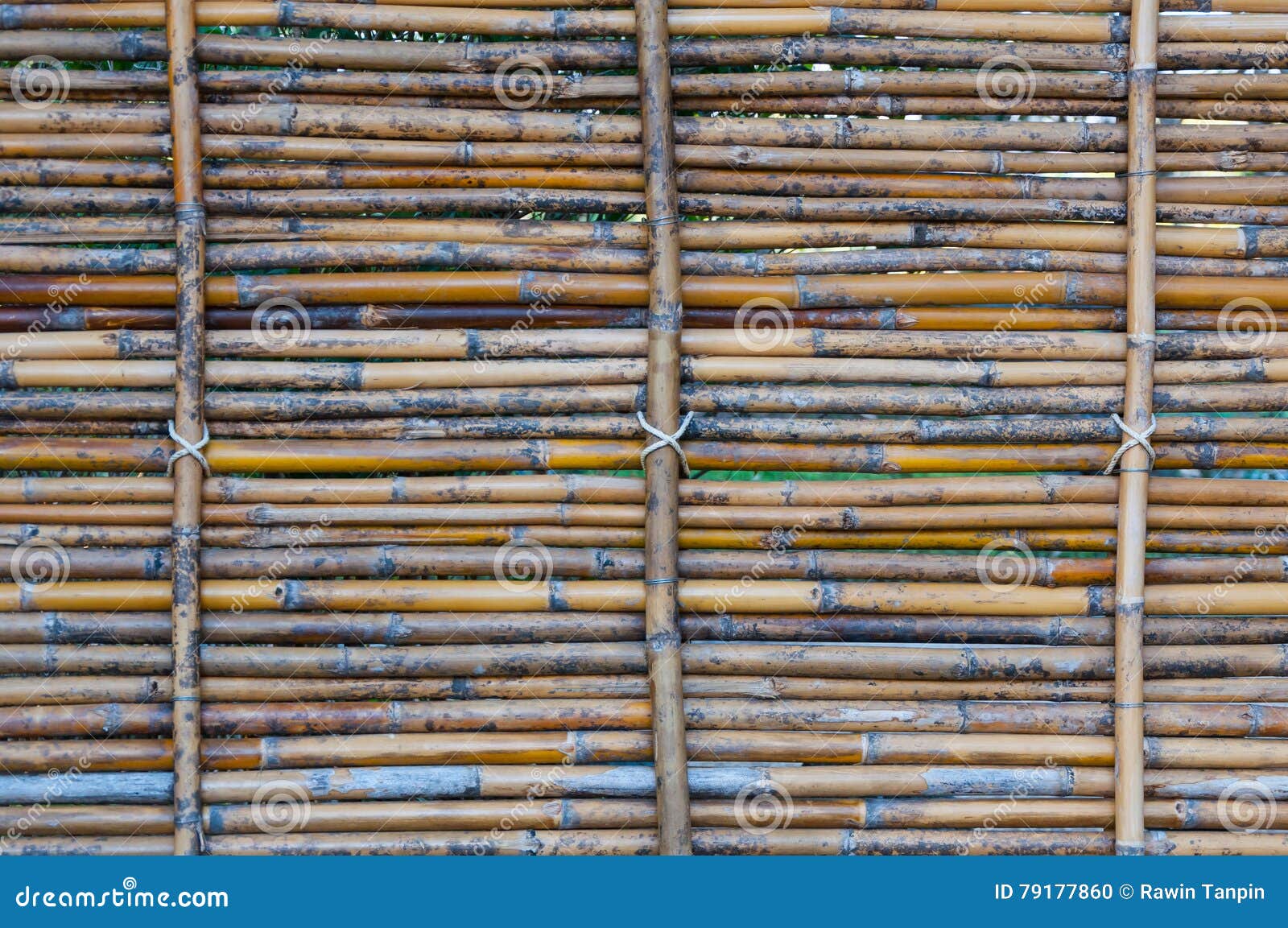 Bamboo Cut Half Weave Wall Texture Or Background Royalty-Free Stock ...