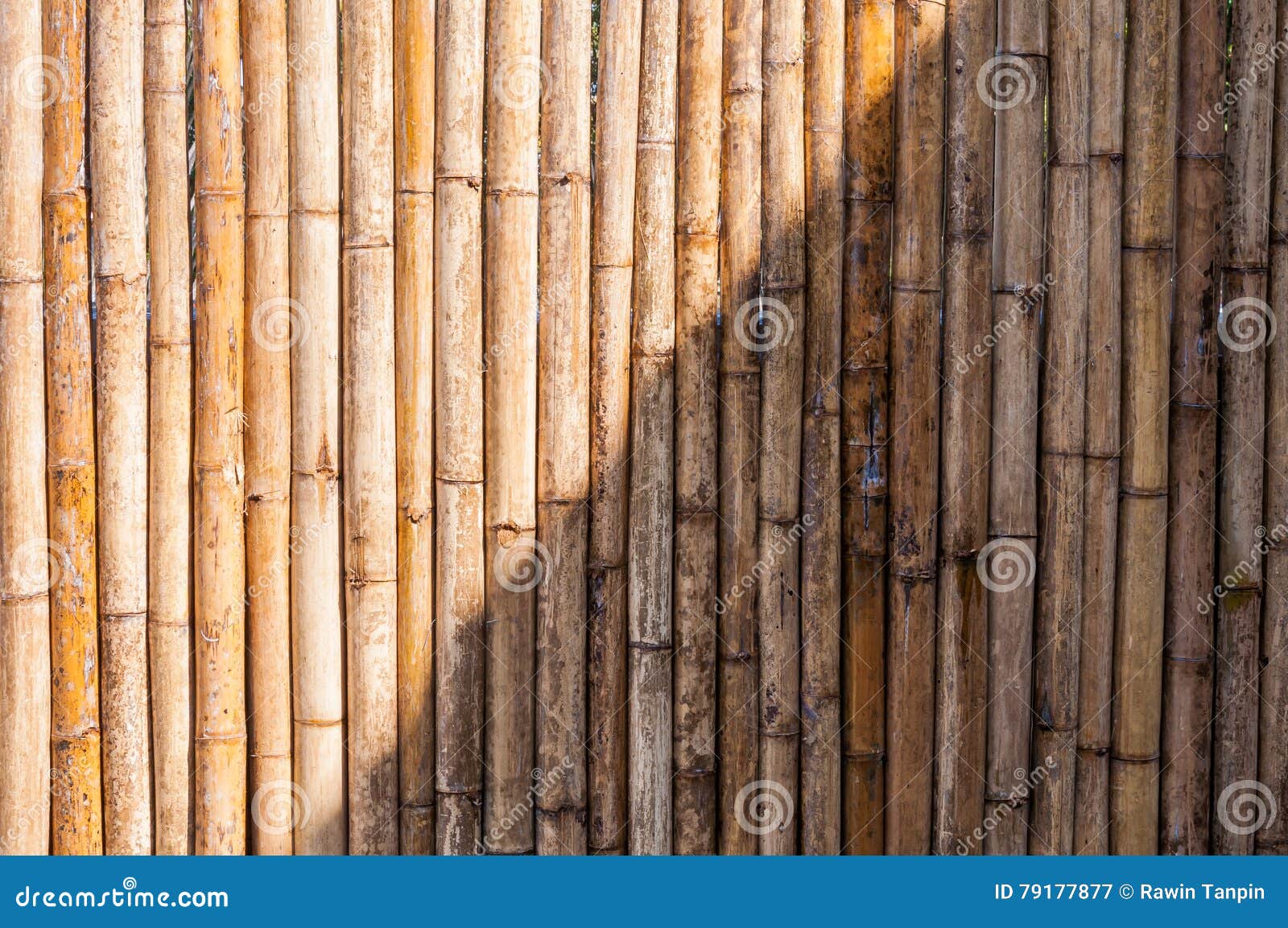 Bamboo Cut Half Weave Wall Texture Or Background Royalty-Free Stock ...