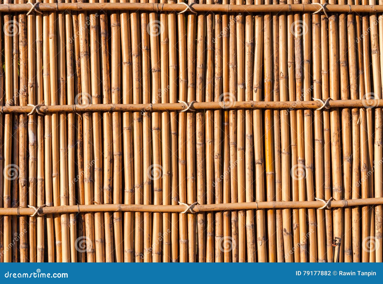 Bamboo Cut Half Weave Wall Texture Or Background Royalty-Free Stock ...