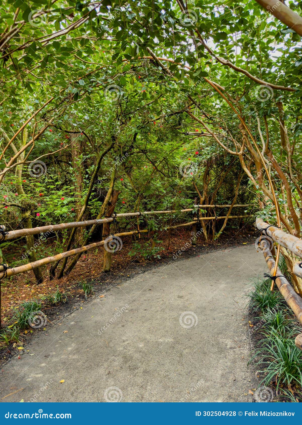 Bamboo Hand Rail in a Nature Trail Walkway Stock Photo - Image of ...