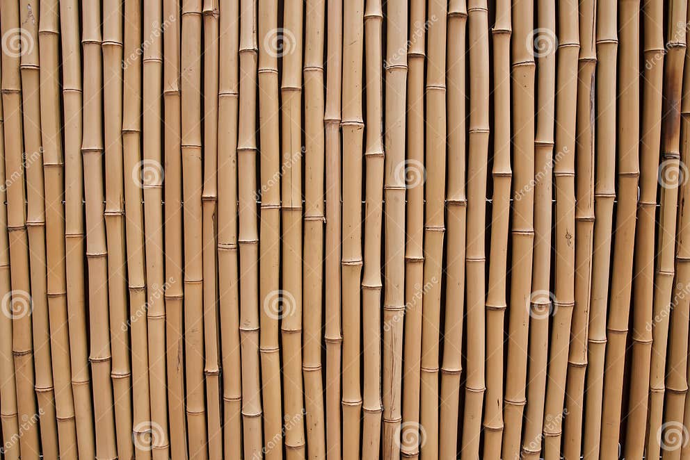 Bamboo. High Resolution Natural Wood Texture Stock Image - Image of ...