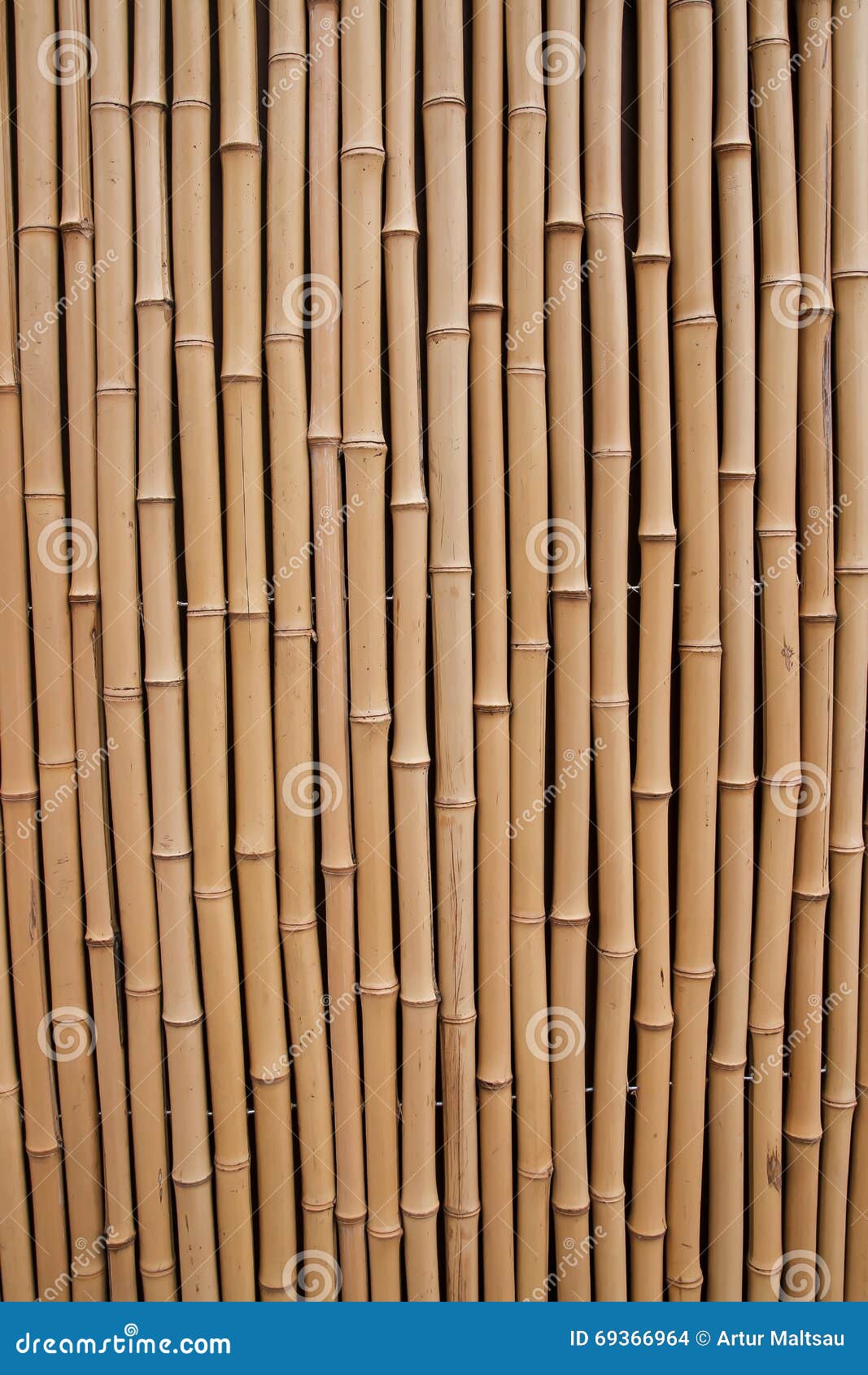 Bamboo. High Resolution Natural Wood Texture Stock Photo - Image of ...