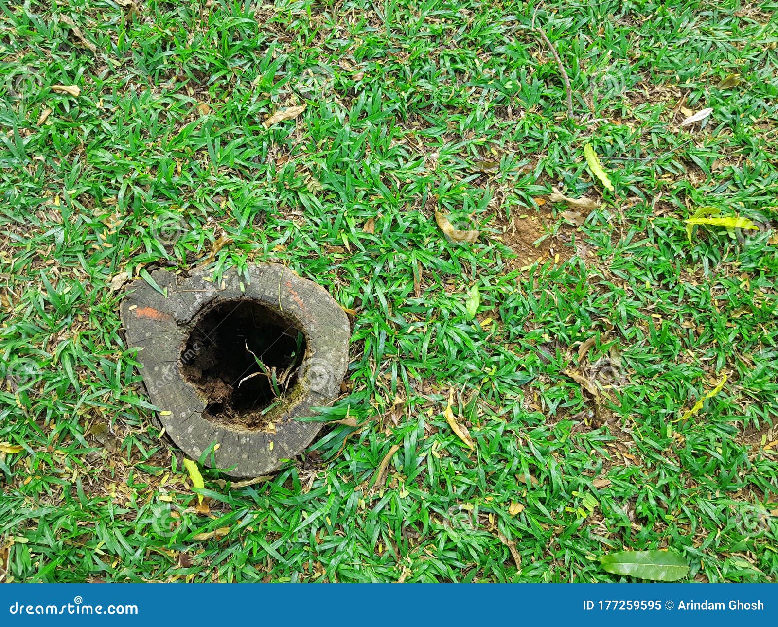 Bamboo Hole Post in a Grass Surface Floor Stock Image - Image of hole ...