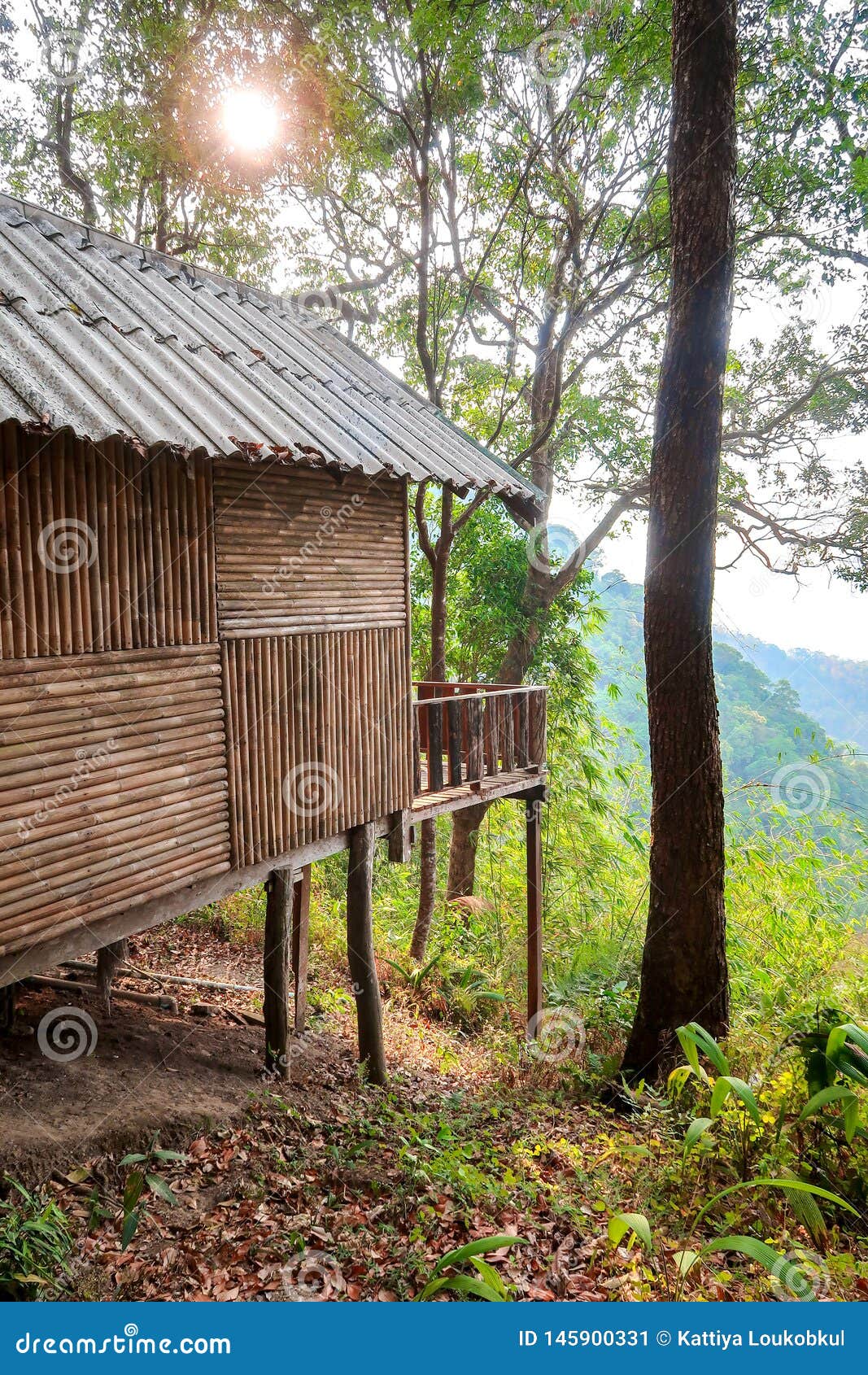Bamboo hut on the mountain stock image. Image of rural - 145900331