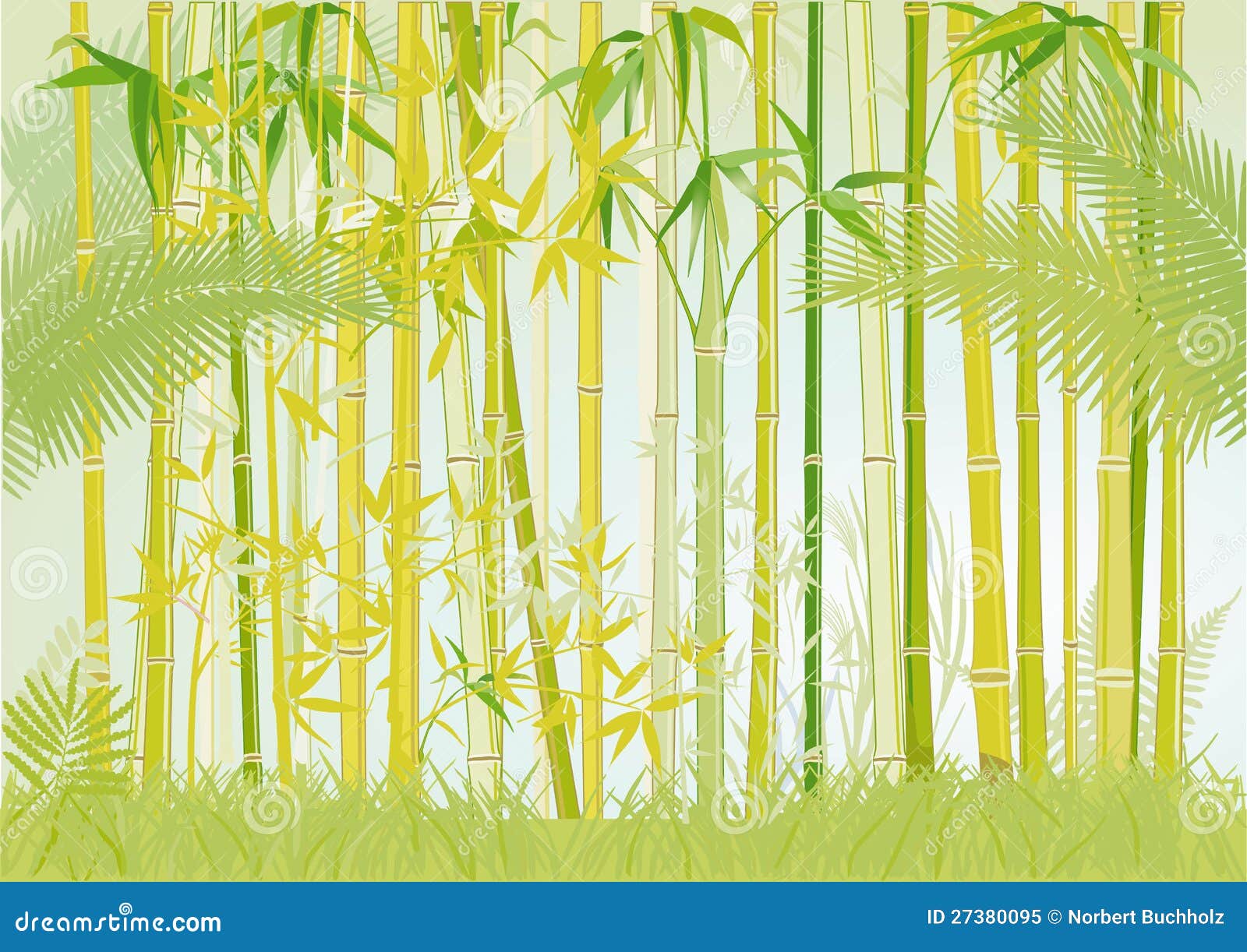 Bamboo illustration stock vector. Illustration of long - 27380095