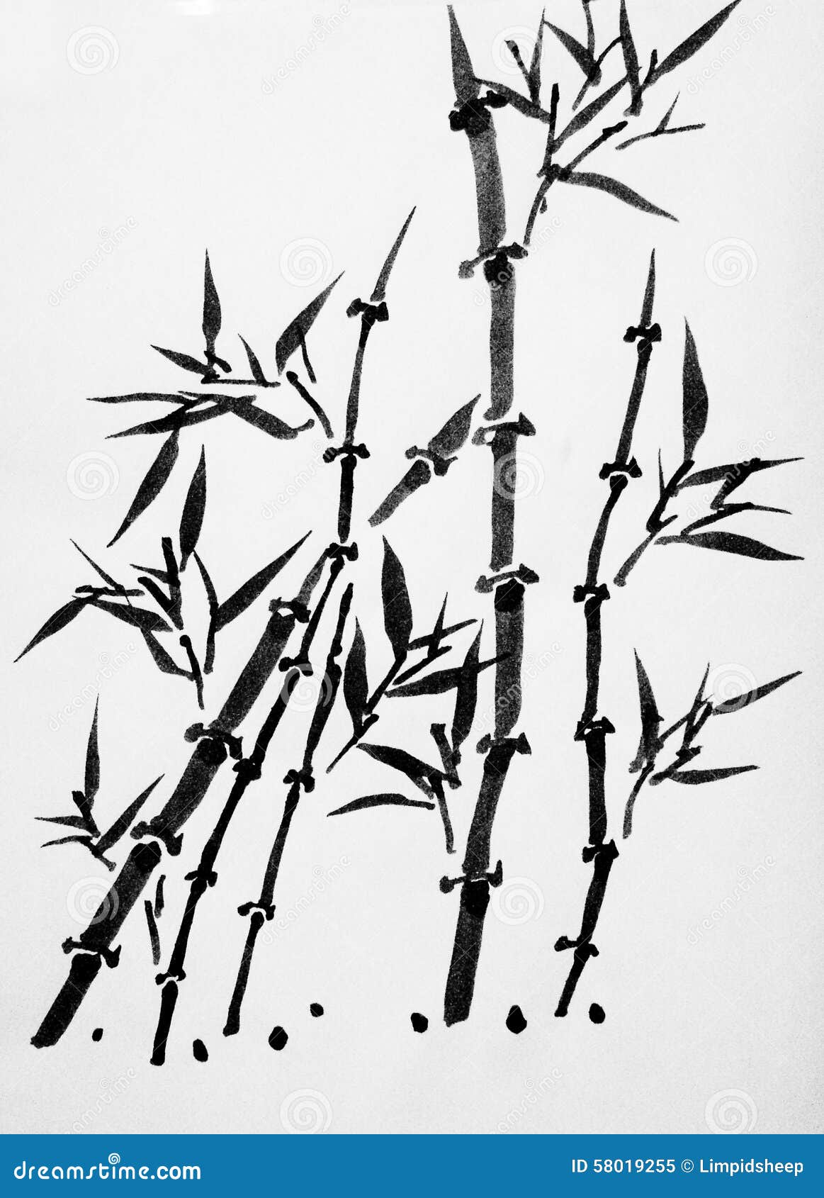 Chinese Bamboo Tree Drawing