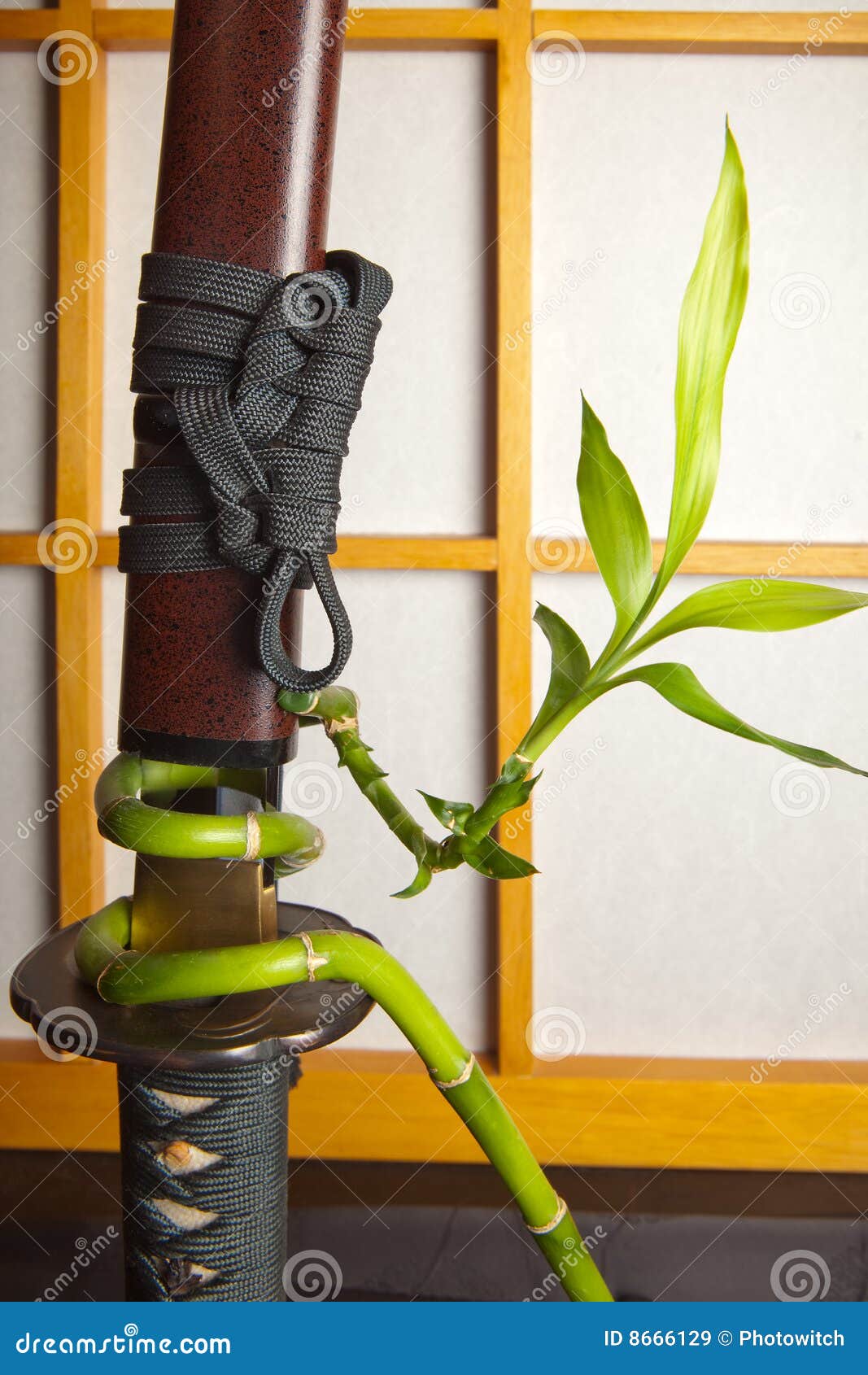 Bamboo and japanese sword stock image. Image of oriental - 8666129