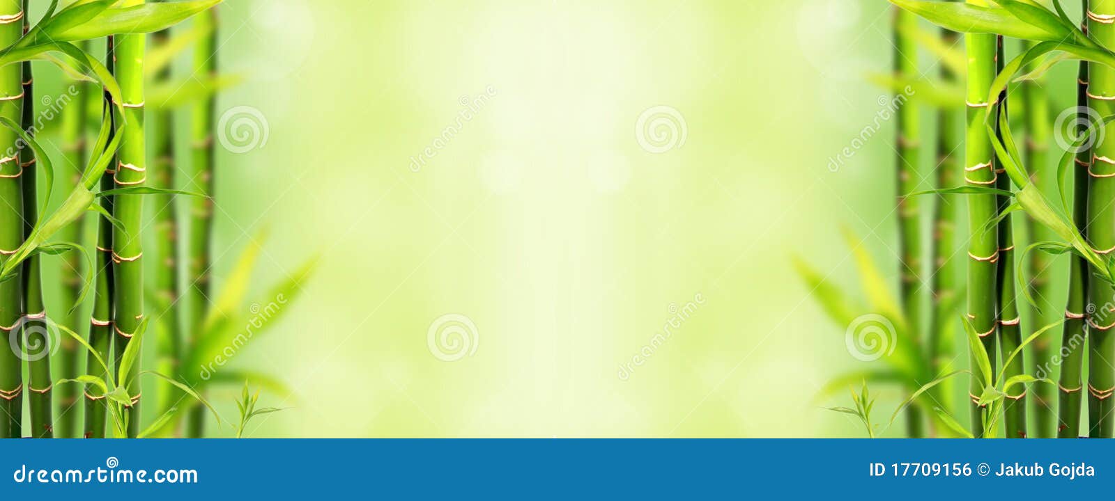 Bamboo jungle background stock photo. Image of green - 17709156