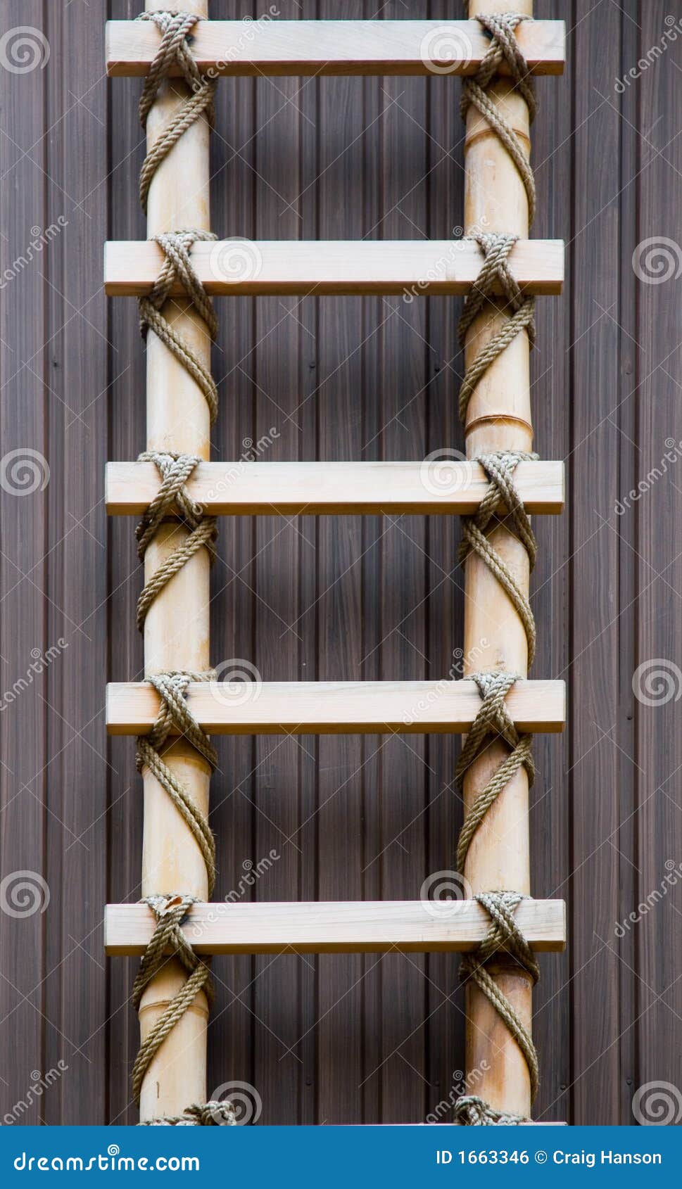 Bamboo Ladder stock photo. Image of bind, traditional - 1663346