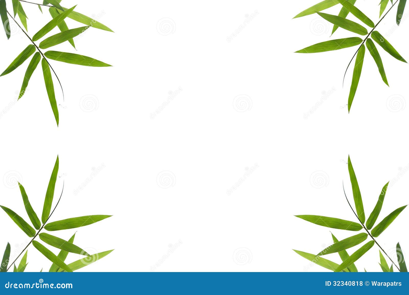 Bamboo Leaf Border Background Stock Photo - Image of branch ...