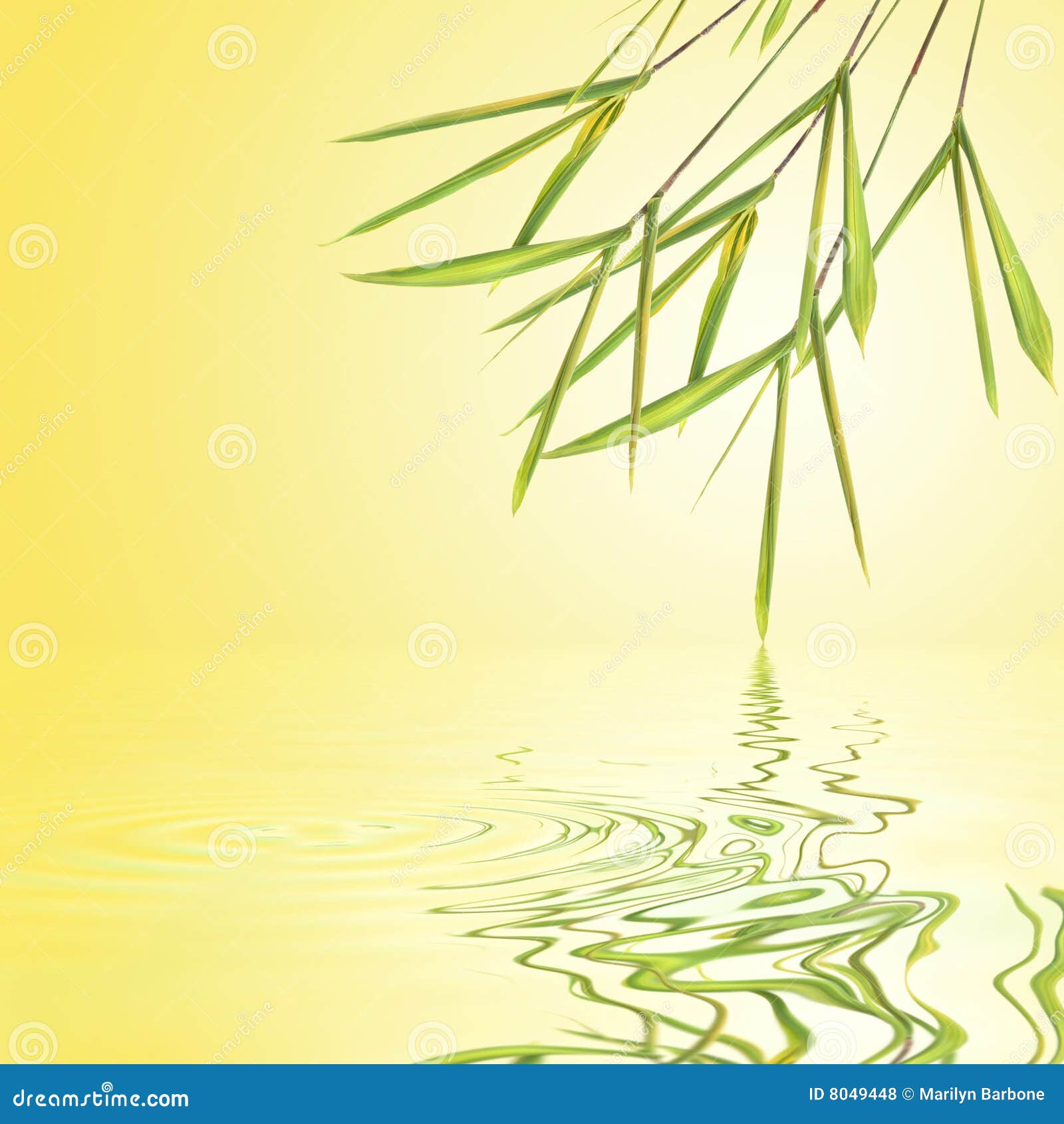 Bamboo With Leaf Illustration. Asian Bambu Zen Plants Background Web ...