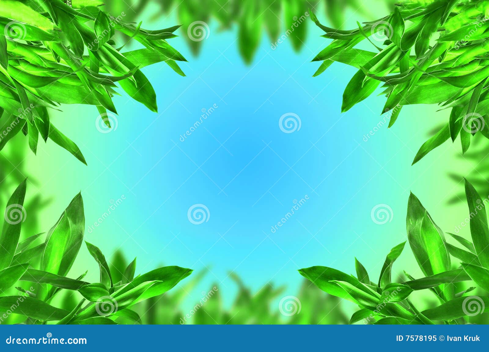 Bamboo leaves border stock image. Image of leaves, nature - 7578195