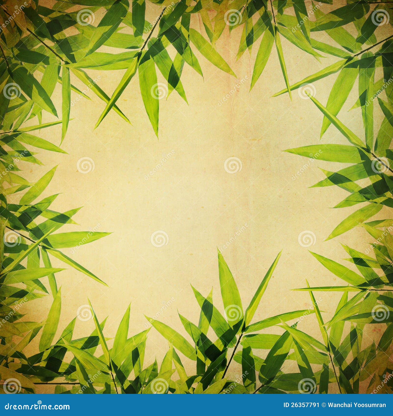 Bamboo Leaves Frame on Grunge Paper Stock Illustration - Illustration ...
