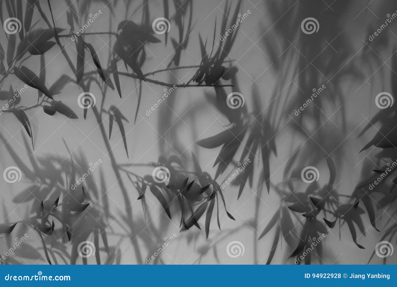 Bamboo stock photo. Image of shadow, bamboo, elegant - 94922928