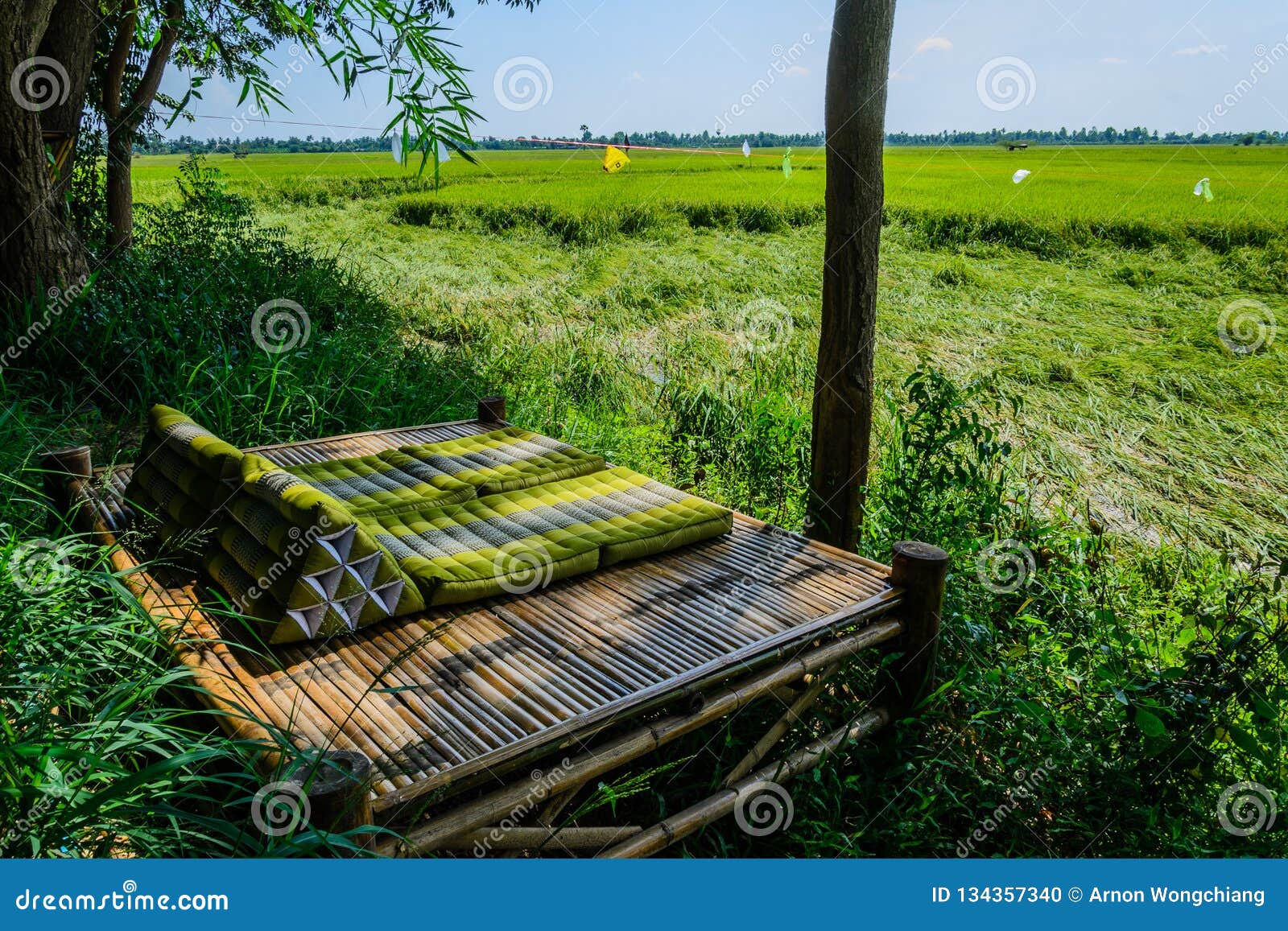 Bamboo Litter in Rice Field Stock Photo - Image of cotton, relaxing ...