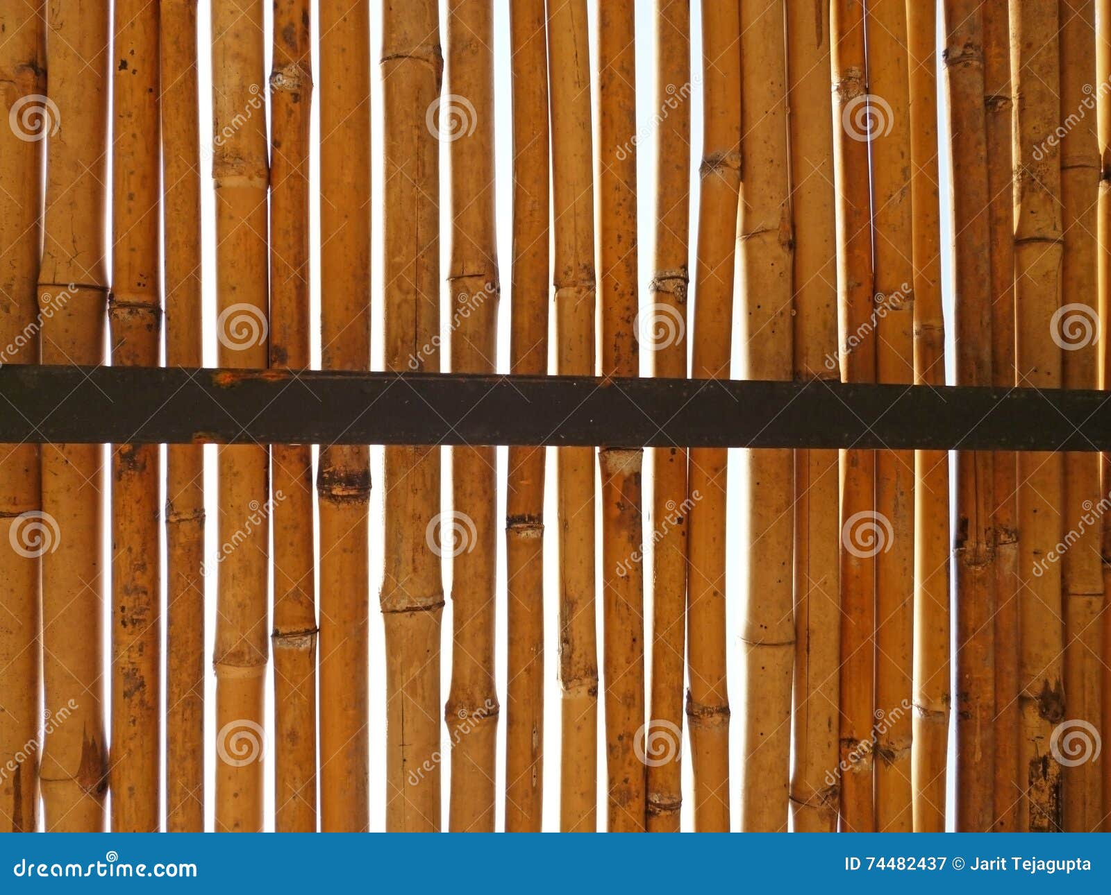 Bamboo with metal stock image. Image of detail, construction - 74482437